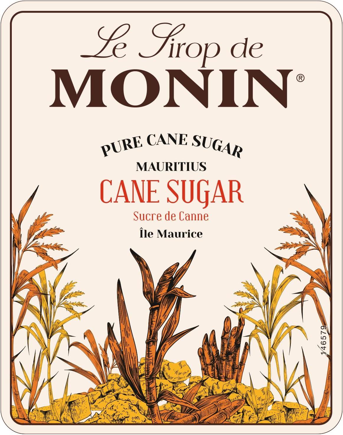 MONIN Premium Pure Cane Sugar Syrup 700ml - Vegan-Friendly, Allergen ...