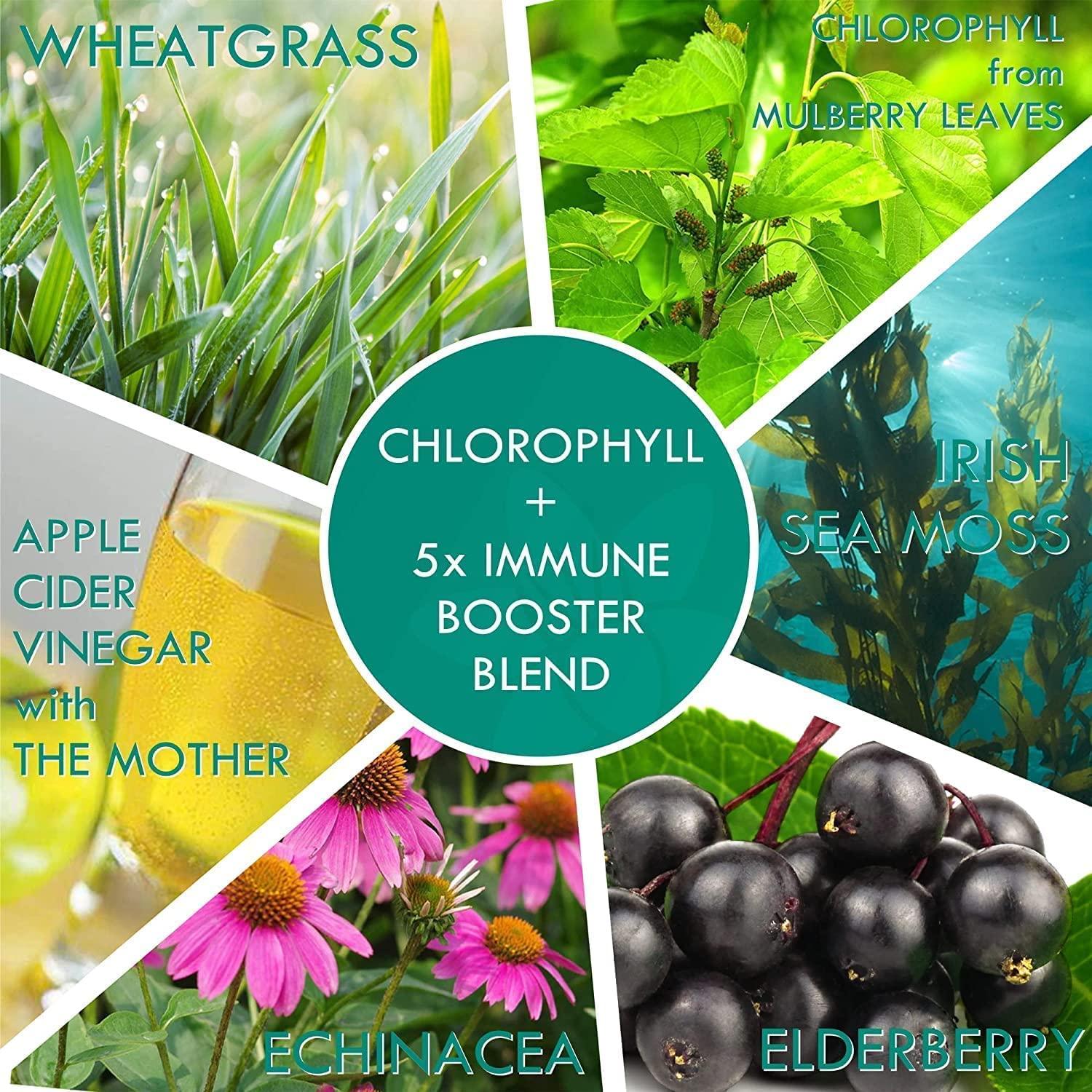 Chlorophyll Gummies with Unfiltered ACV, Sea Moss & Elderberry - Sugar ...