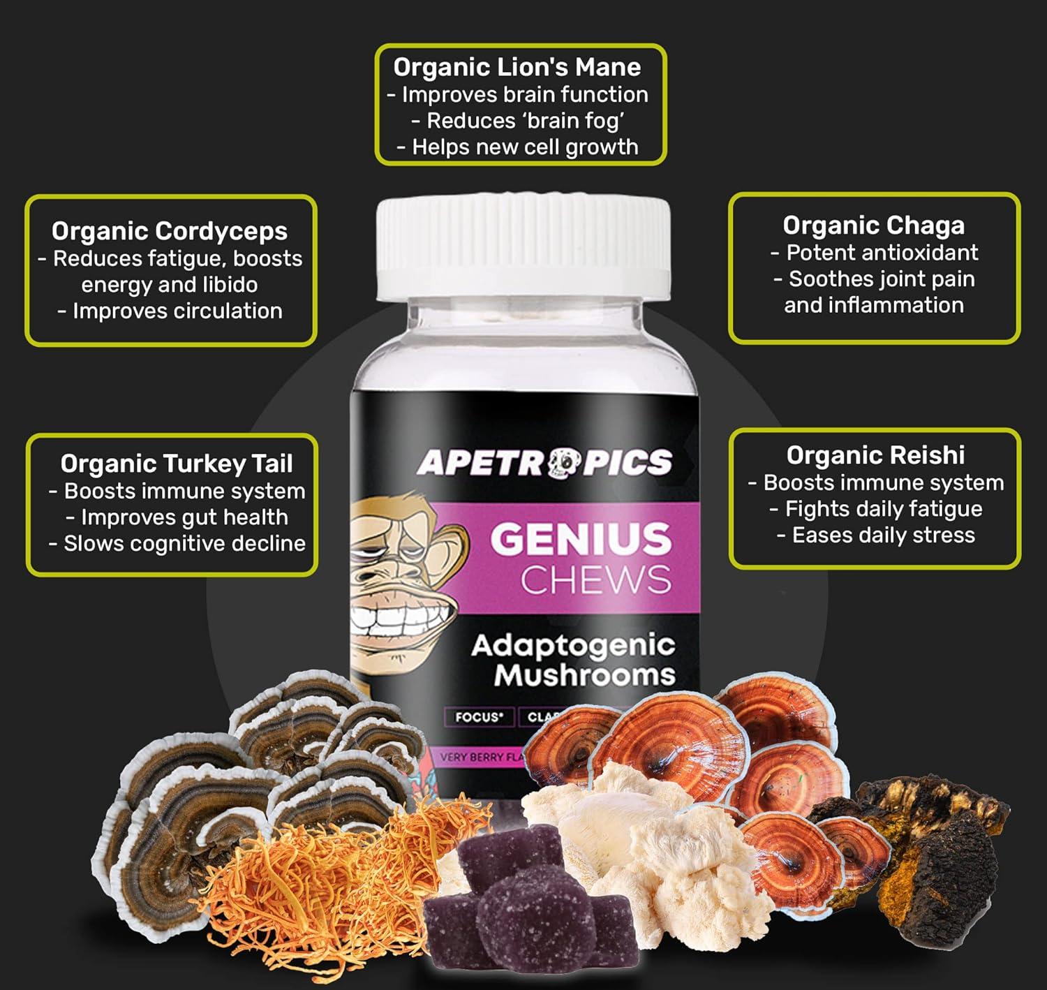 Apetropics Genius Chews - Nootropic Brain Gummies with Mushrooms - Very ...