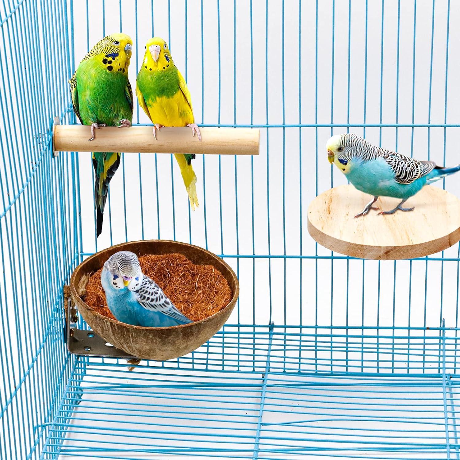 Natural Coconut NC Birds Nest Set - Ultimate Bird Playground & Cage ...