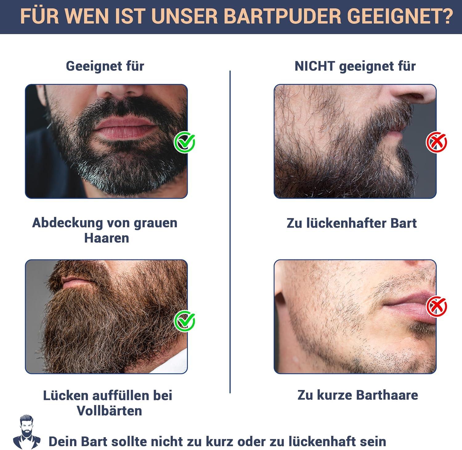 Take Hair Beard dye 100 waterproof 4 g beard powder for a fuller beard ...