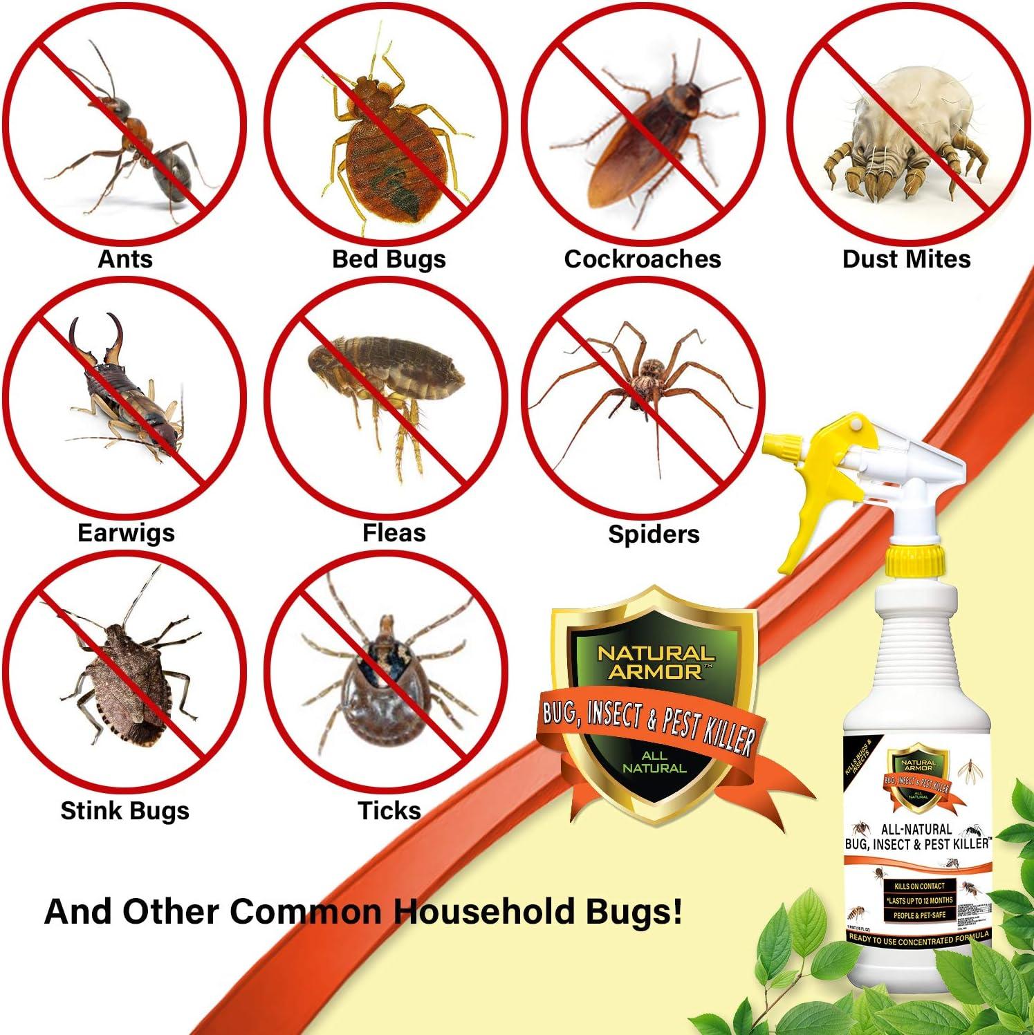 128 oz Natural Bug and Insect Killer for Indoor and Outdoor Use - Flea ...