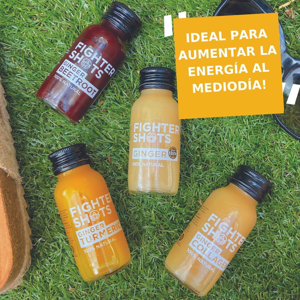 Fighter Shots Mixed Pack (12x60ml)| Ginger Ginger Turmeric Ginger ...