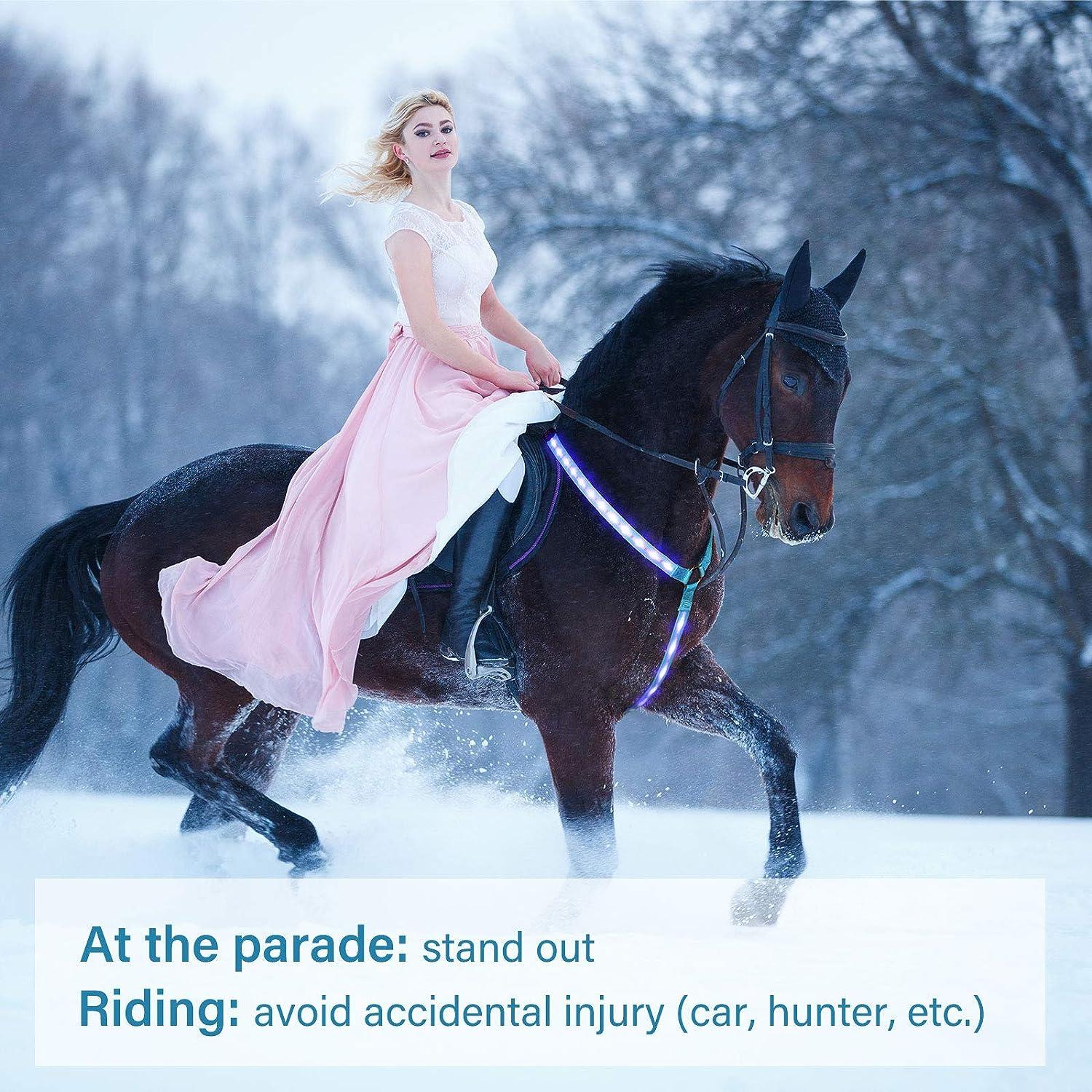 Frienda LED Light Horse Breastplate Collar - Adjustable Visibility Tack ...
