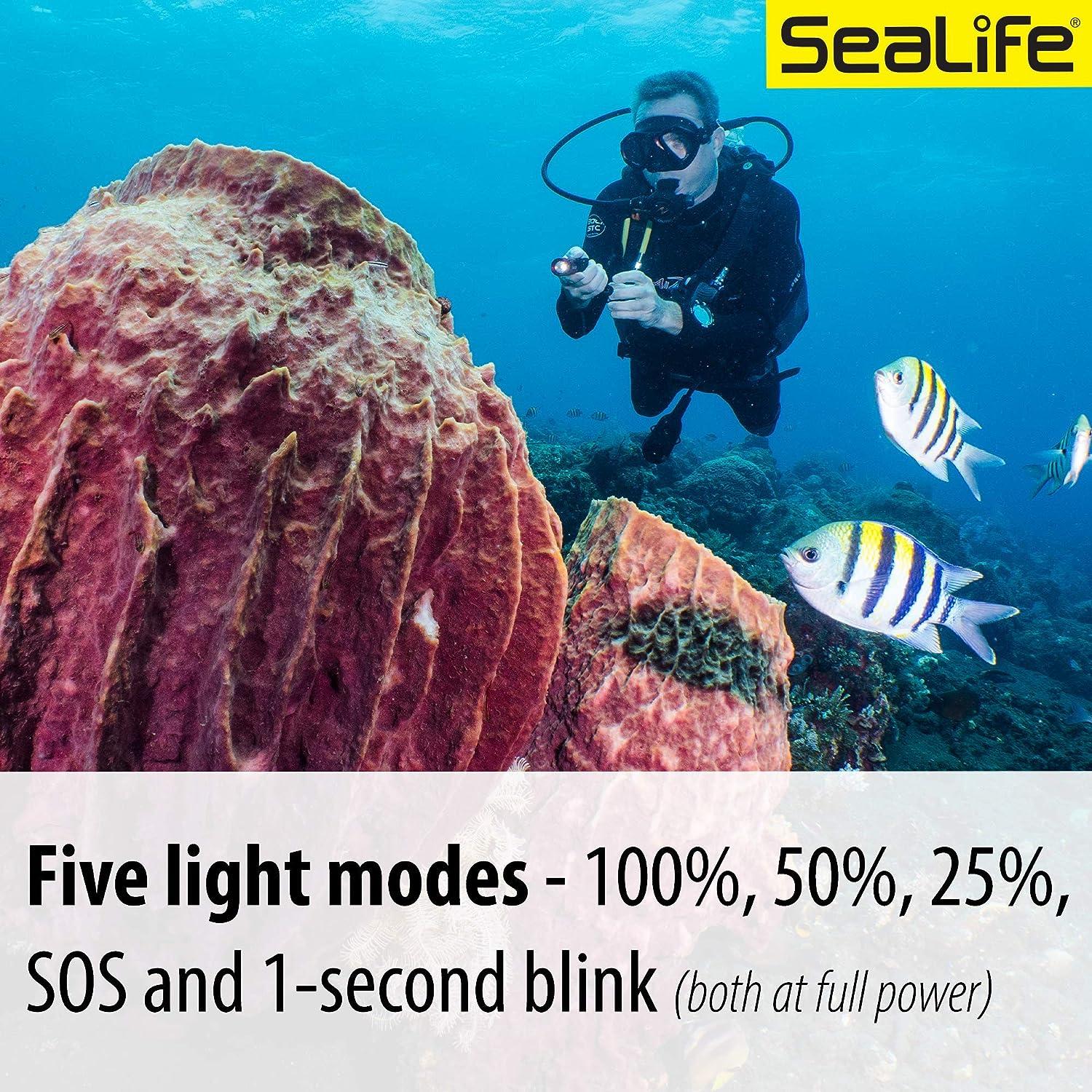 SeaLife Sea Dragon Mini 900S Compact LED Dive Light (SL653) - Bright ...