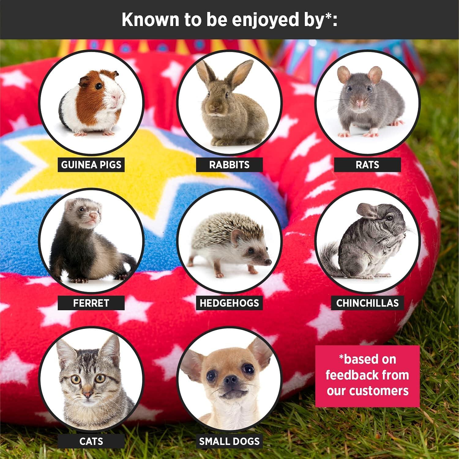 HAYPIGS Circus Themed Fleece Guinea Pig Mat - Cozy Bedding for Small ...