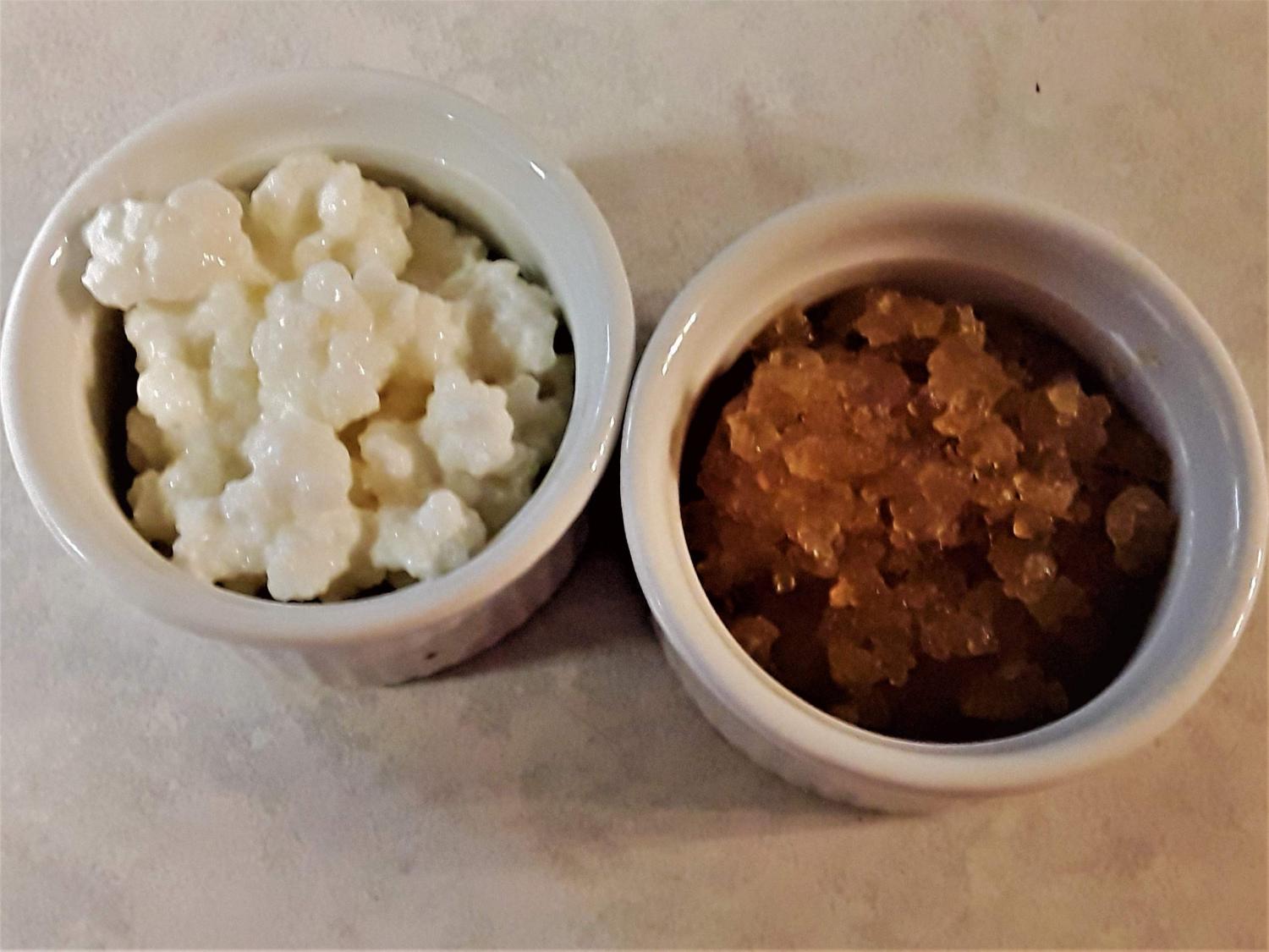 Poseymom Kefir Duo: Premium Water and Milk Kefir Blend | Buy Now with ...