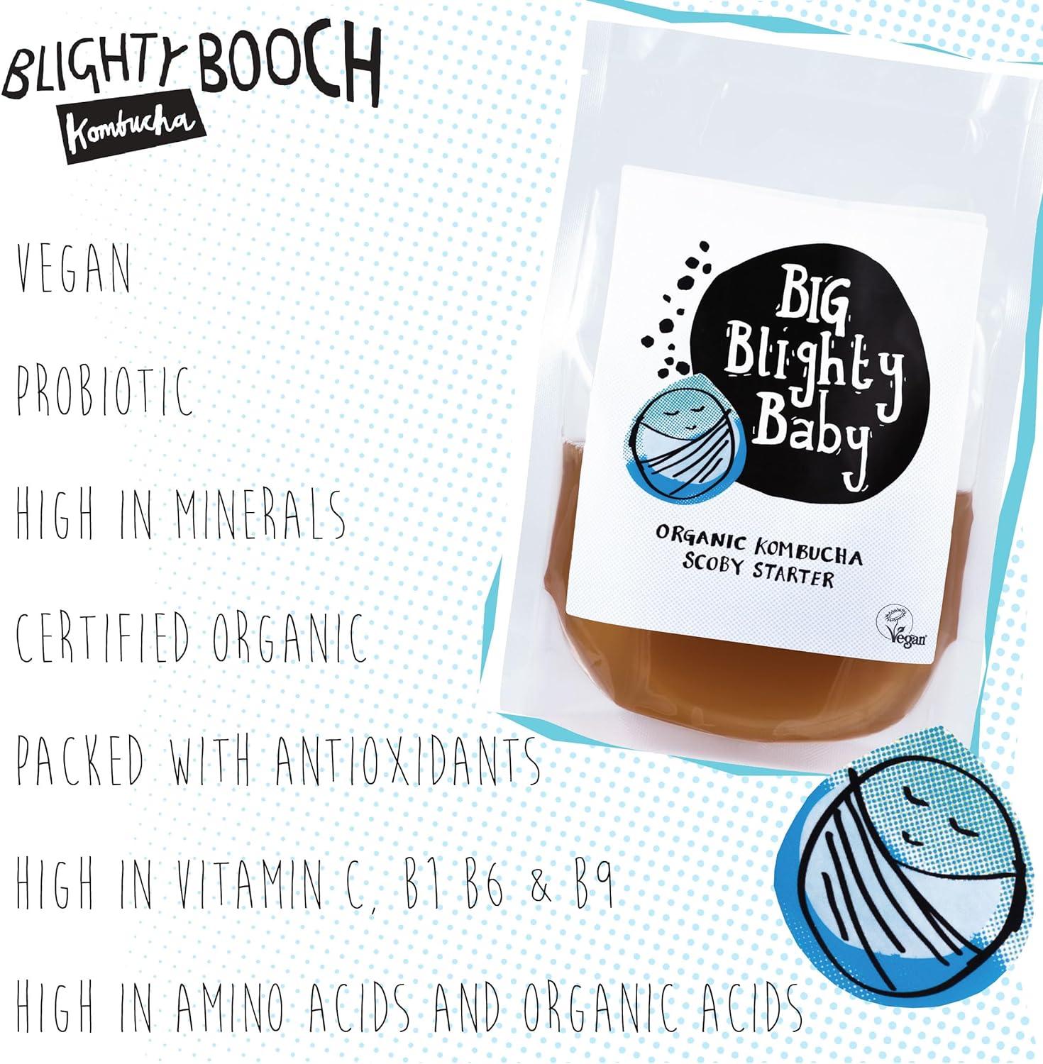 Big Blighty Baby - Kombucha Black Tea Starter SCOBY - 5L at Home ...