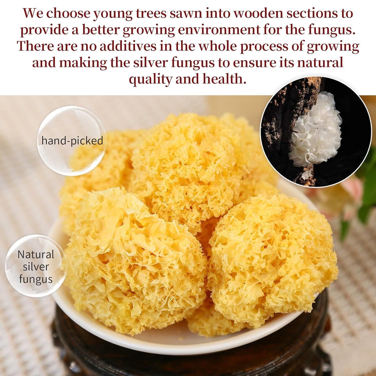 how to cook dried white fungus