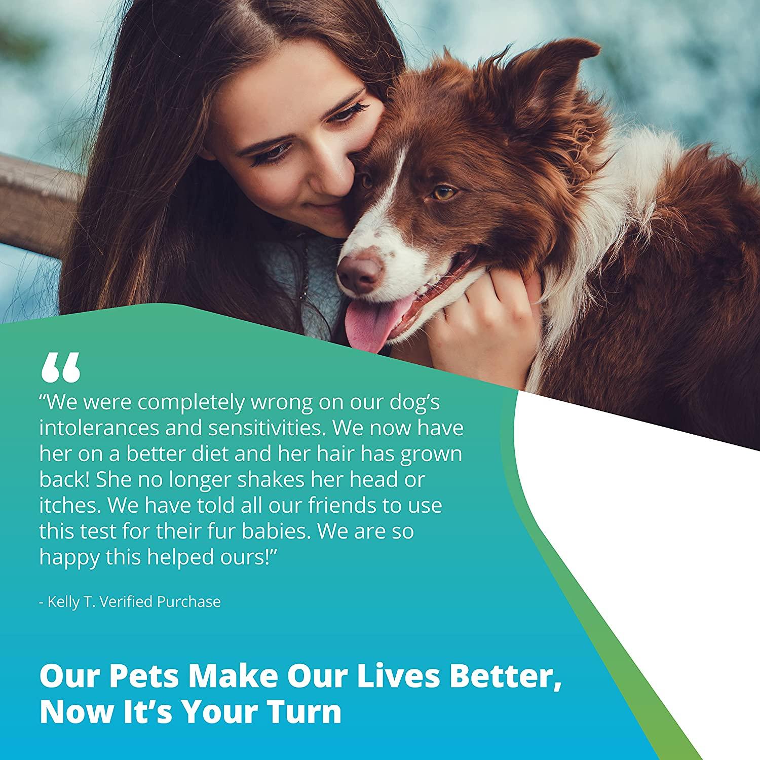 5Strands Pet Food and Environmental Intolerance Test, at Home ...