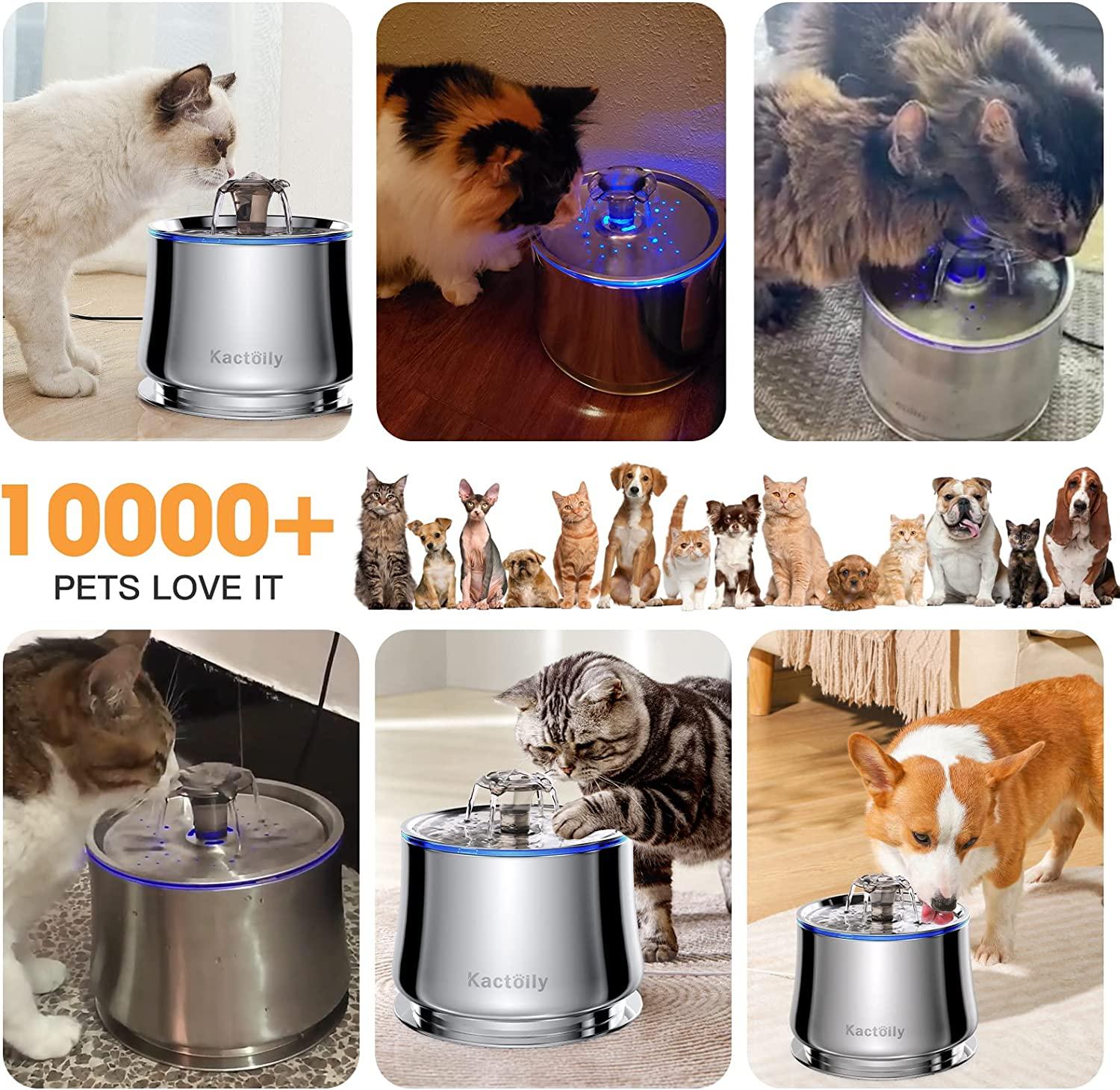 Stainless Steel Cat Water Fountain 2.5L - BPA-Free, Flower Mode ...