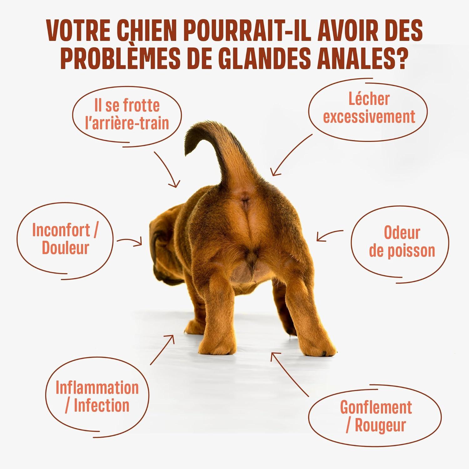 ivvi Anal Gland - Snacks to Support Dogs' Anal Gland Health. Contains Pumpkin Psyllium Flax ...