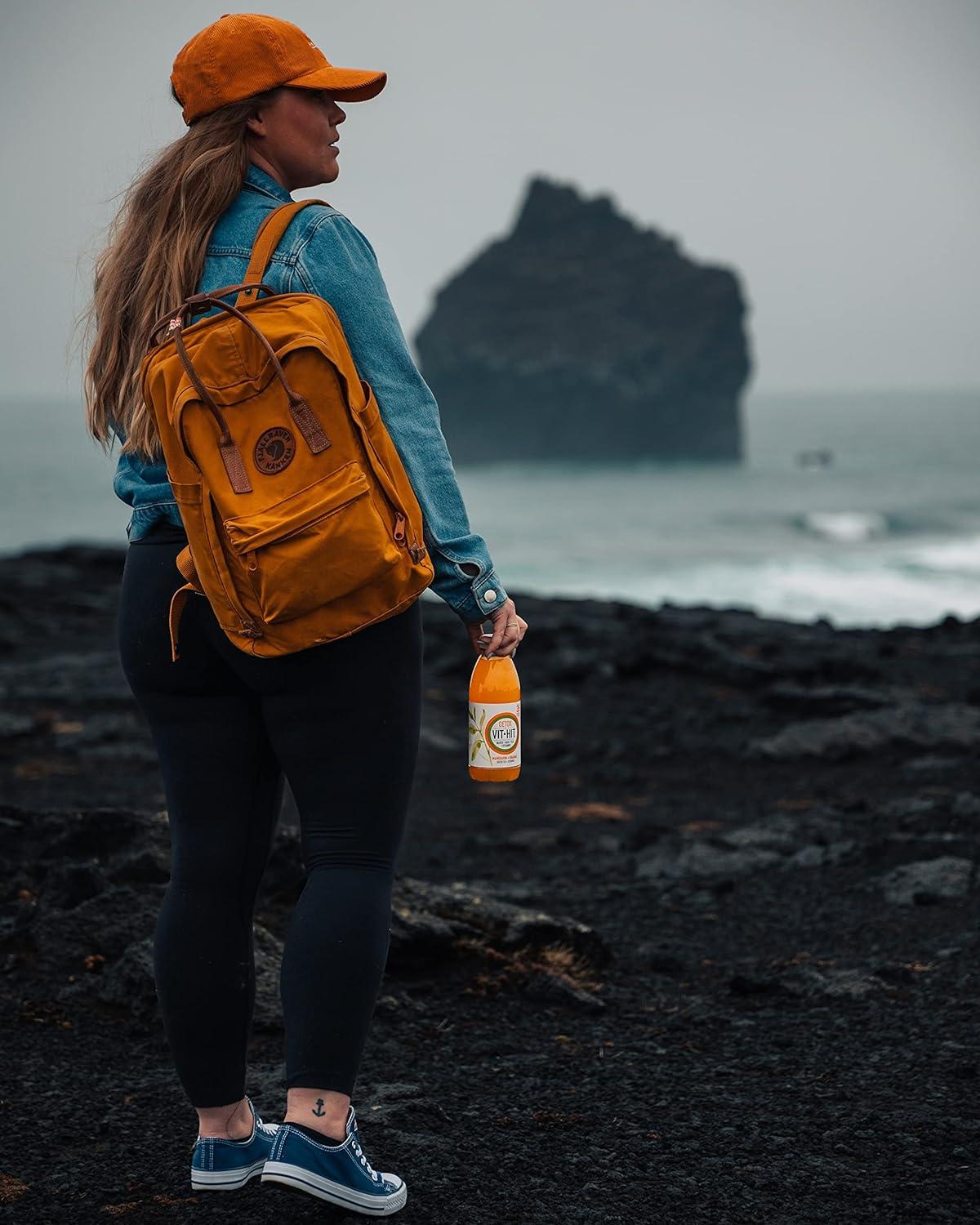 VIT HIT DETOX - Mandarin + Orange Green Tea Vitamin Drink (500ml x 12 ...