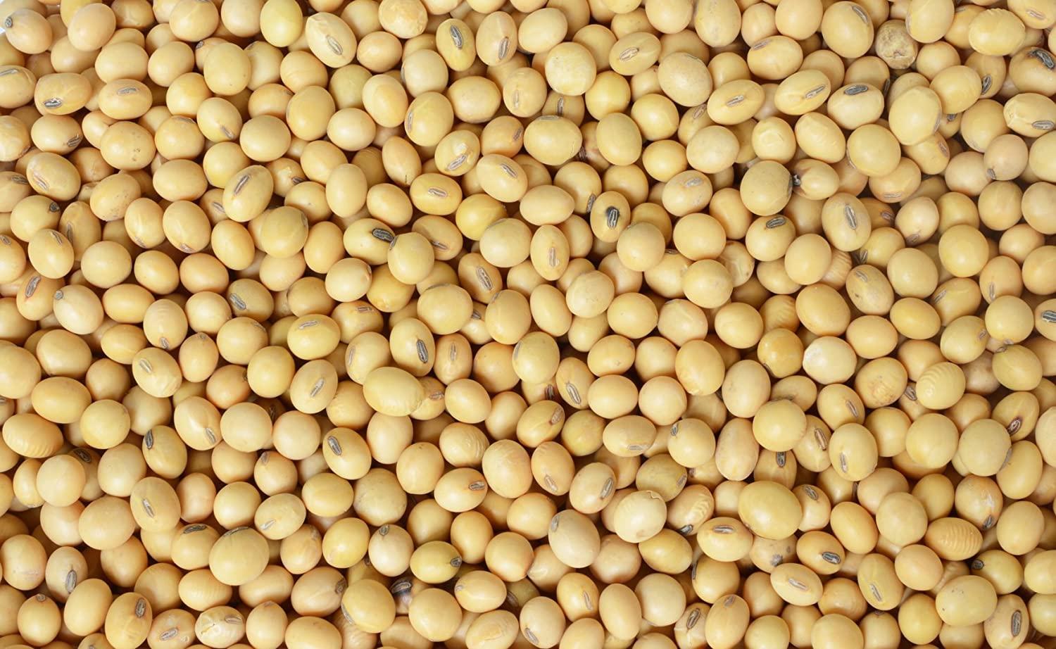 Hunza Organic Soybeans - 2 lbs Pack of 1 | High-Quality Non-GMO Beans