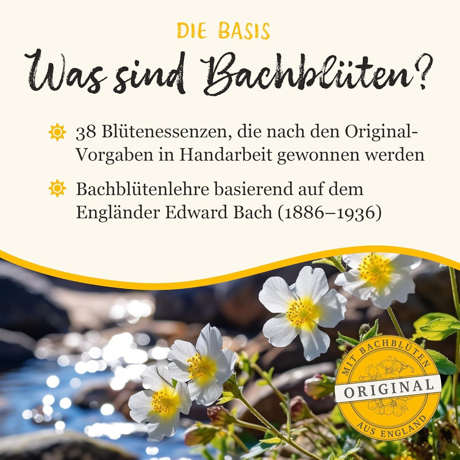 Murnauers Bach Flower Original Drops 20ml - Alcohol-Free Balance for ...