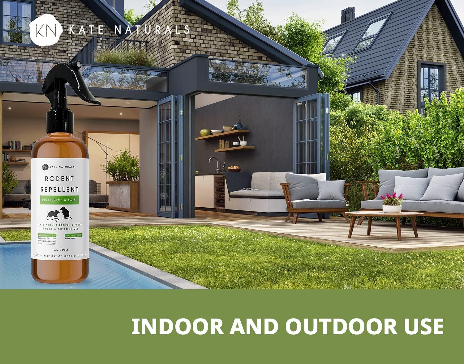 Kate Naturals 16oz Rodent Repellent Spray - Peppermint Oil Formula for ...