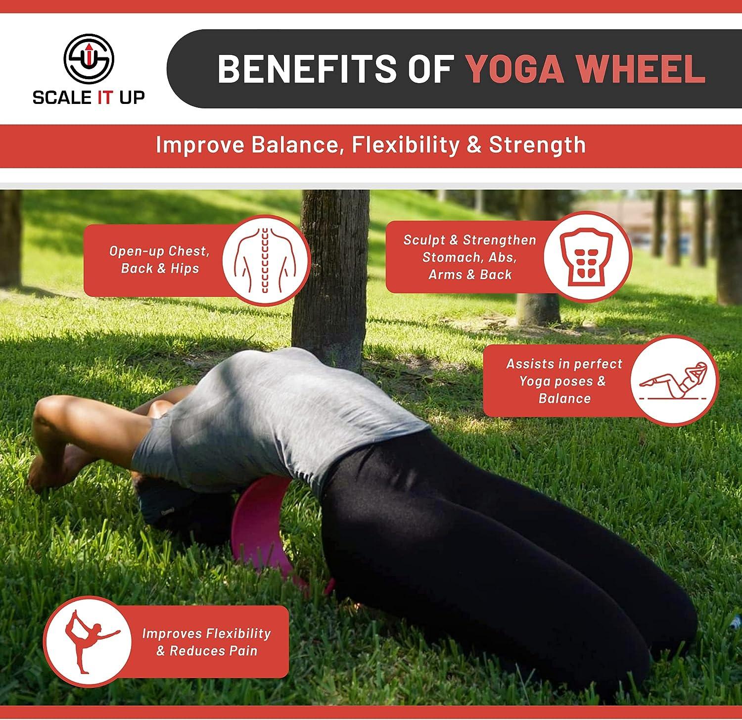 Scale It Up Yoga Wheel Set with Carrying Case - Back Pain Relief ...