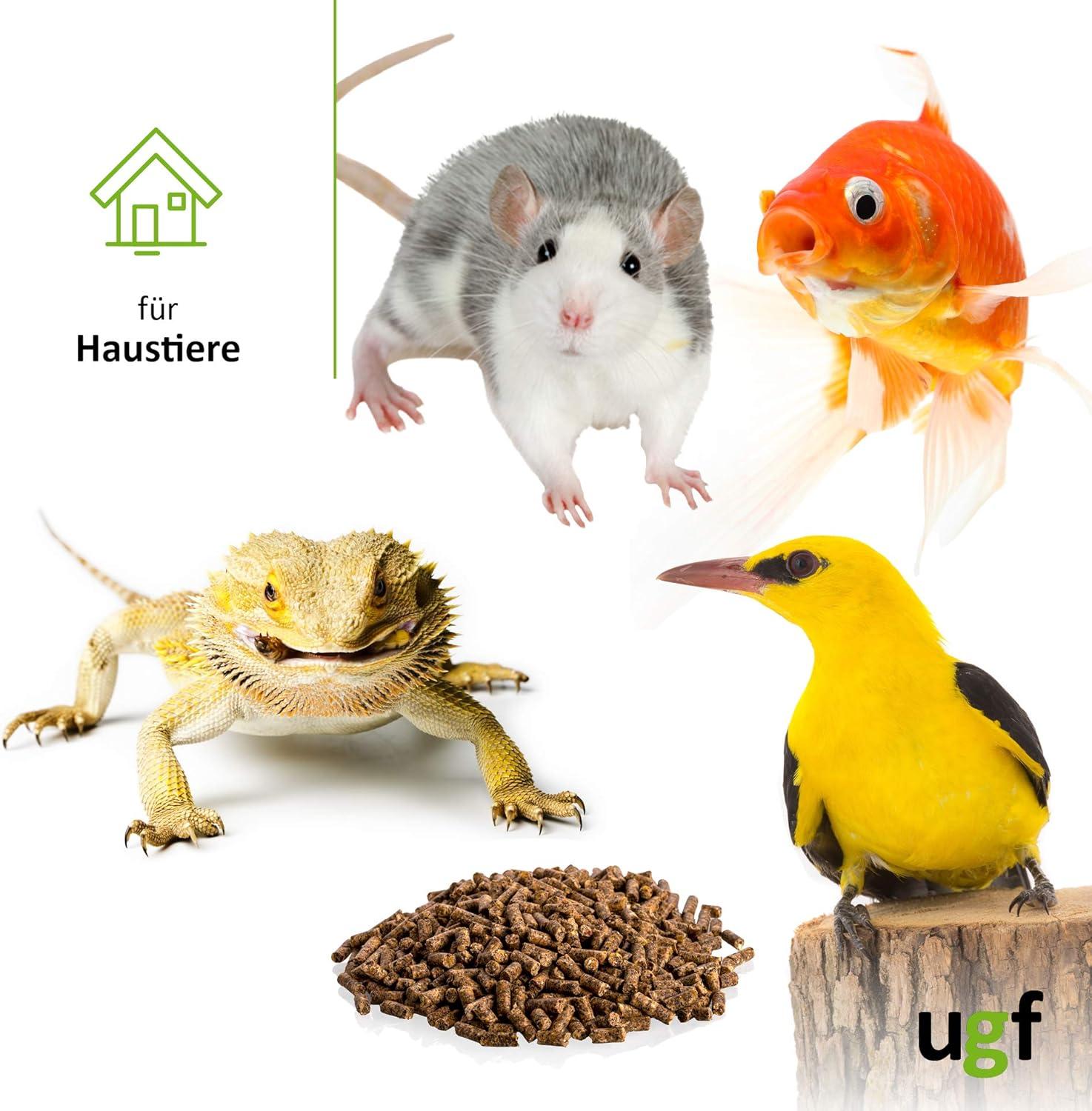 UGF Premium Mealworm Pellets 3L - Insect Snacks for Birds Hamsters ...