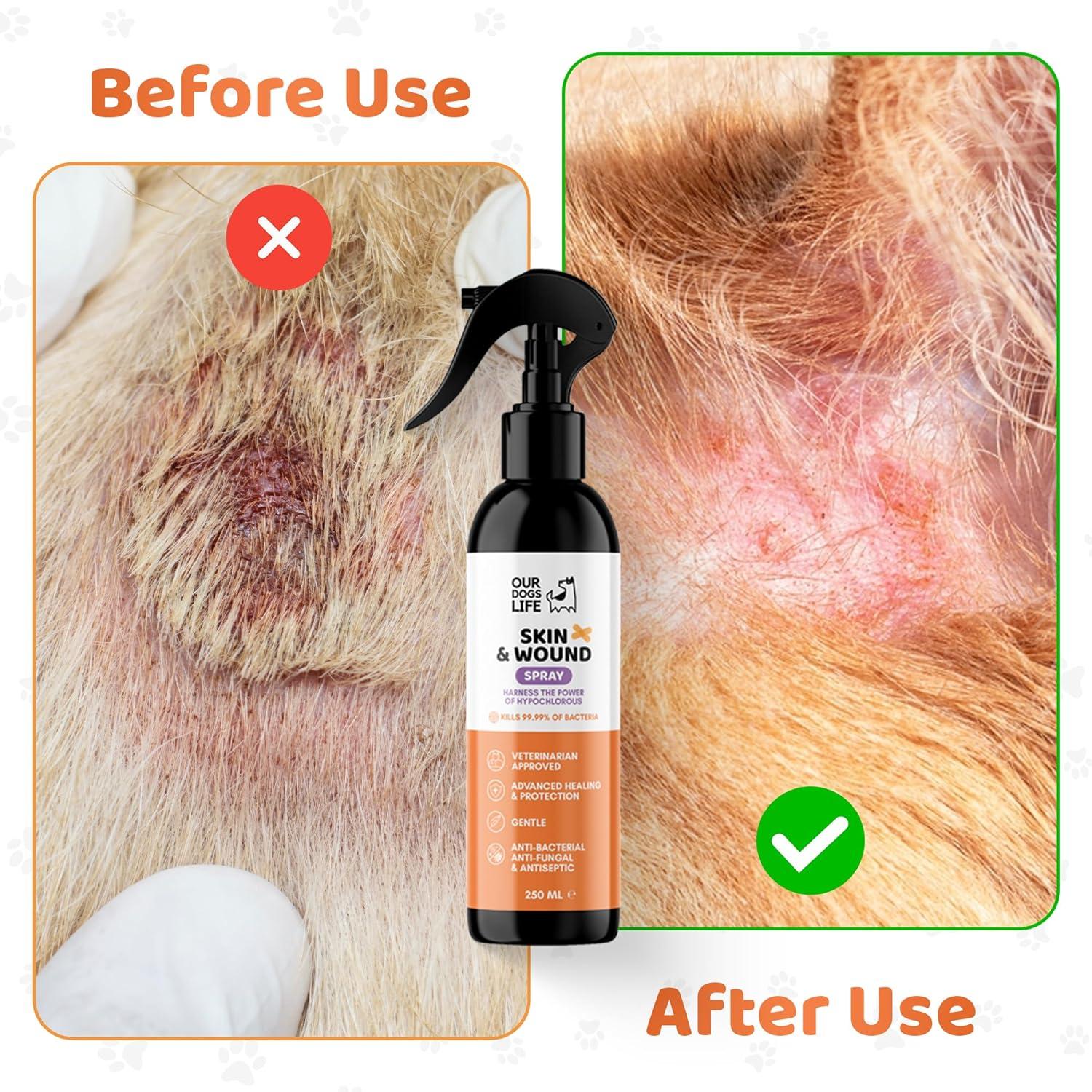 DogsLife Wound & Skin Antiseptic Spray 250ml - Antibacterial ...