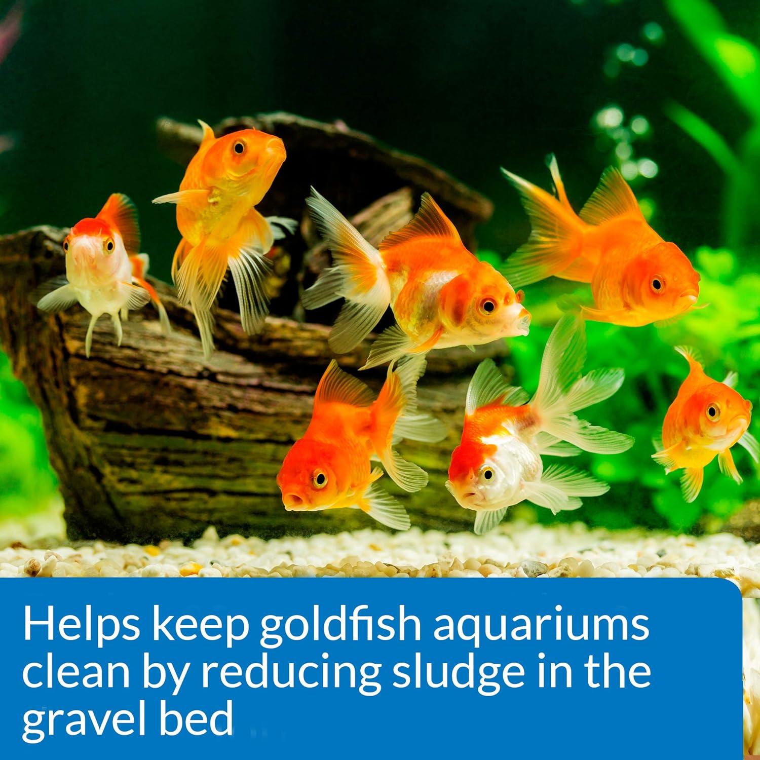 API GOLDFISH AQUARIUM CLEANER Aquarium Cleaner 118 ml Bottle Single ...