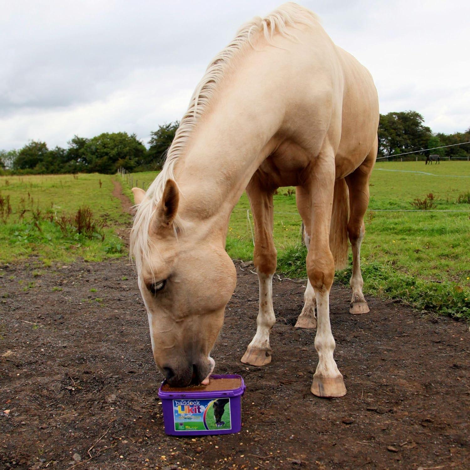 Likit Paddock 8kg | Horse Lick with Essential Vitamins & Minerals ...