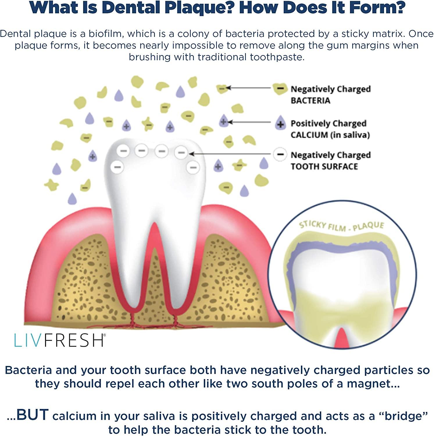 LIVFRESH Dental Gel by Livionex - Clinically Proven Plaque Remover (Wintergreen + Blue Gel ...