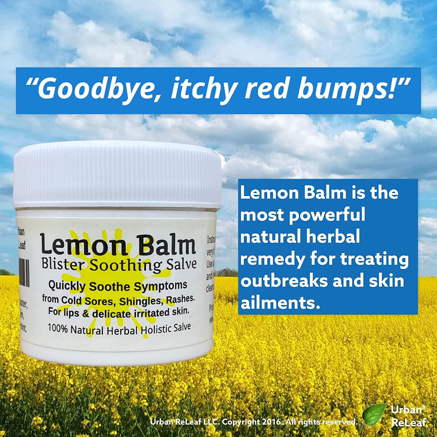 Urban ReLeaf Lemon Balm Salve - Natural Relief for Itchy Blisters ...