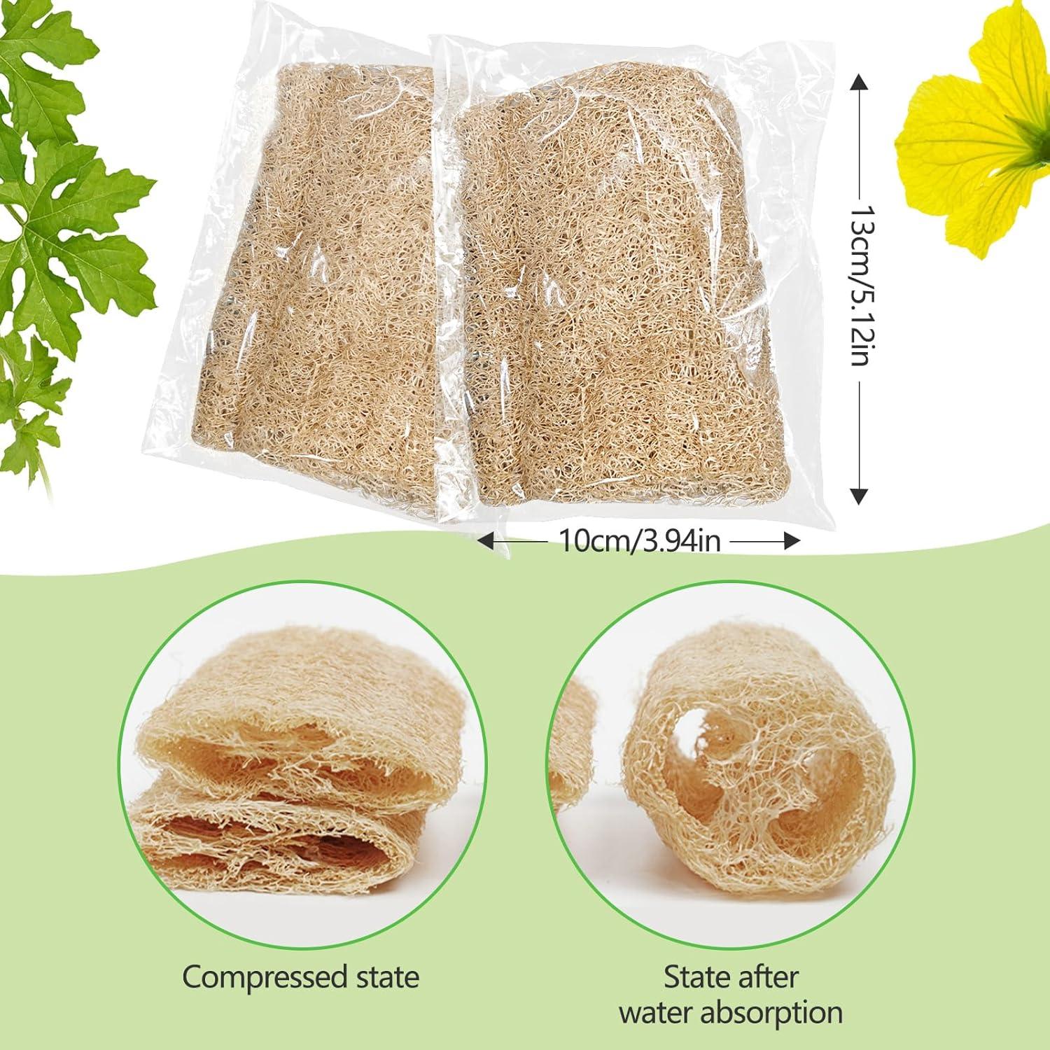 Buy 10 Pcs Kheoxusa Individually Wrapped Natural Loofahs - Exfoliating ...