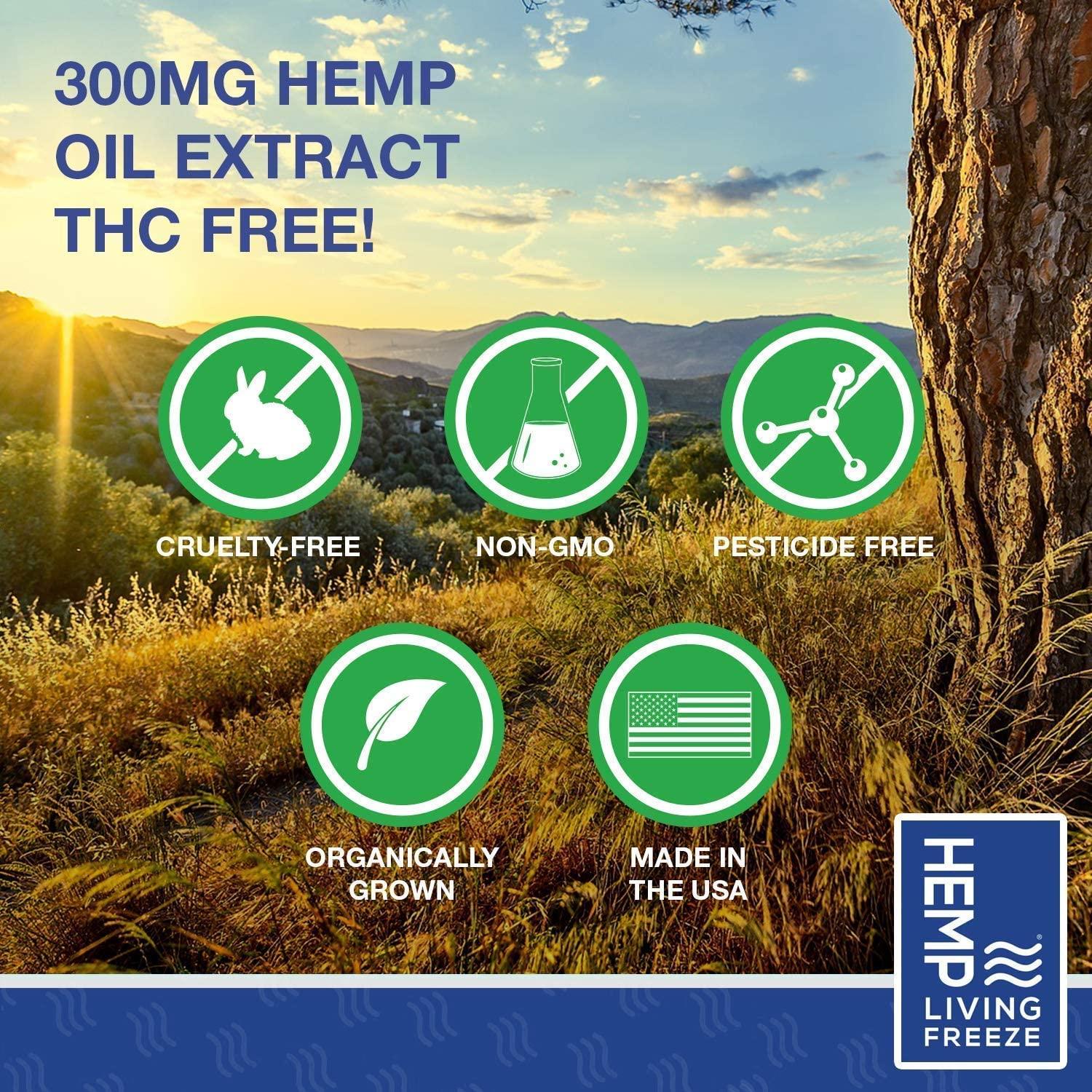 Hemp Living Freeze Nano Hemp Extract | Topical Cold Therapy Roll On 300 ...