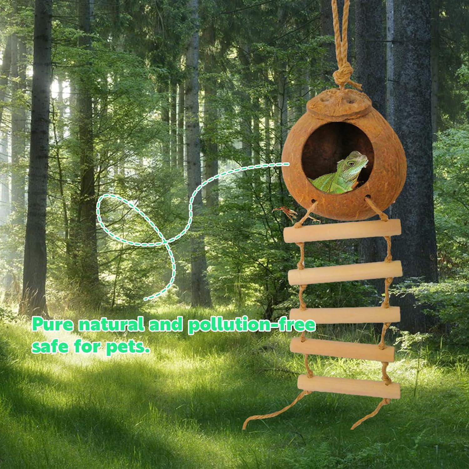 Aobuviou Gecko Coconut Husk Hut Coconut Bird Nest Reptile Coconut Hide ...