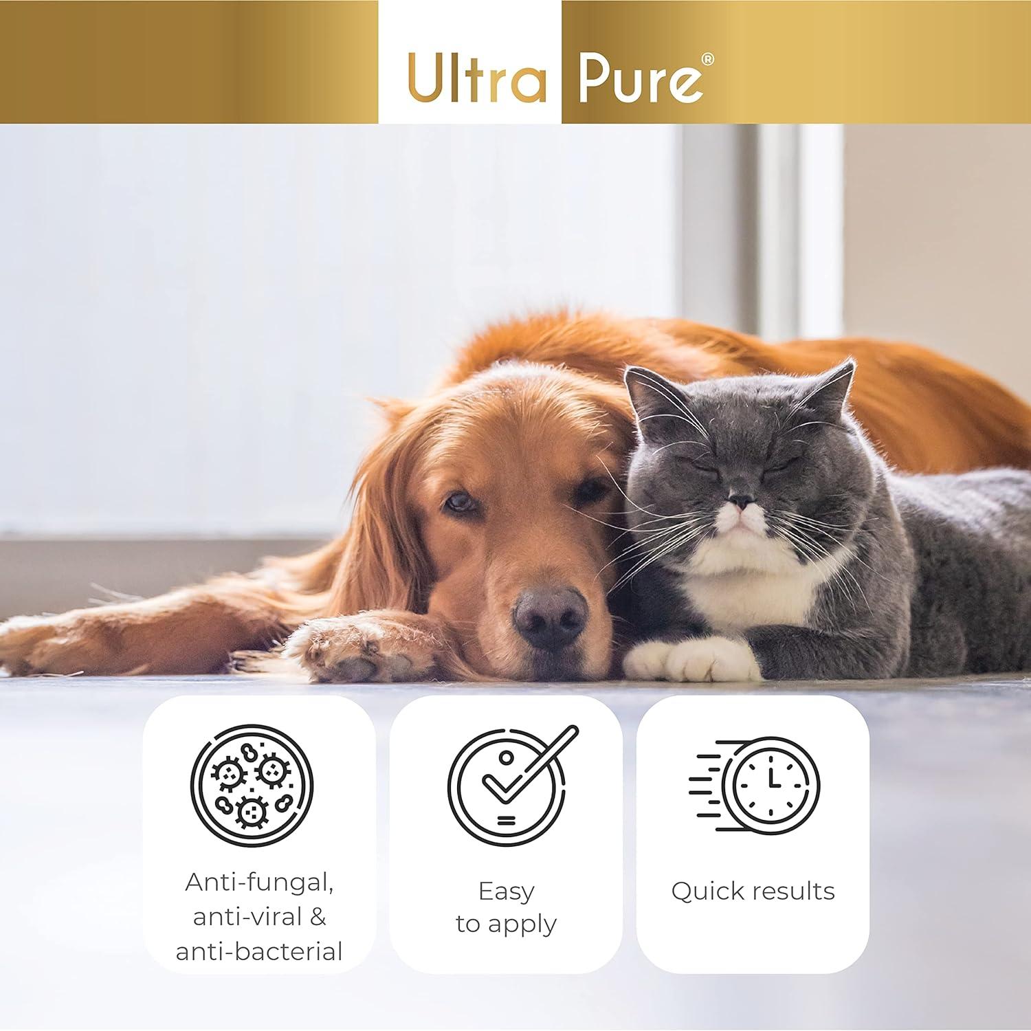 MaxiVet Wound Spray - Antibacterial and Antifungal Solution with Hypochlorous Acid - 200ml | Buy ...