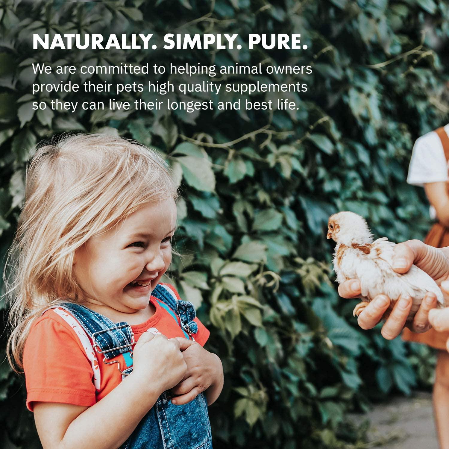 Natural Probiotics for Chickens & Poultry | Digestive Health Supplement ...