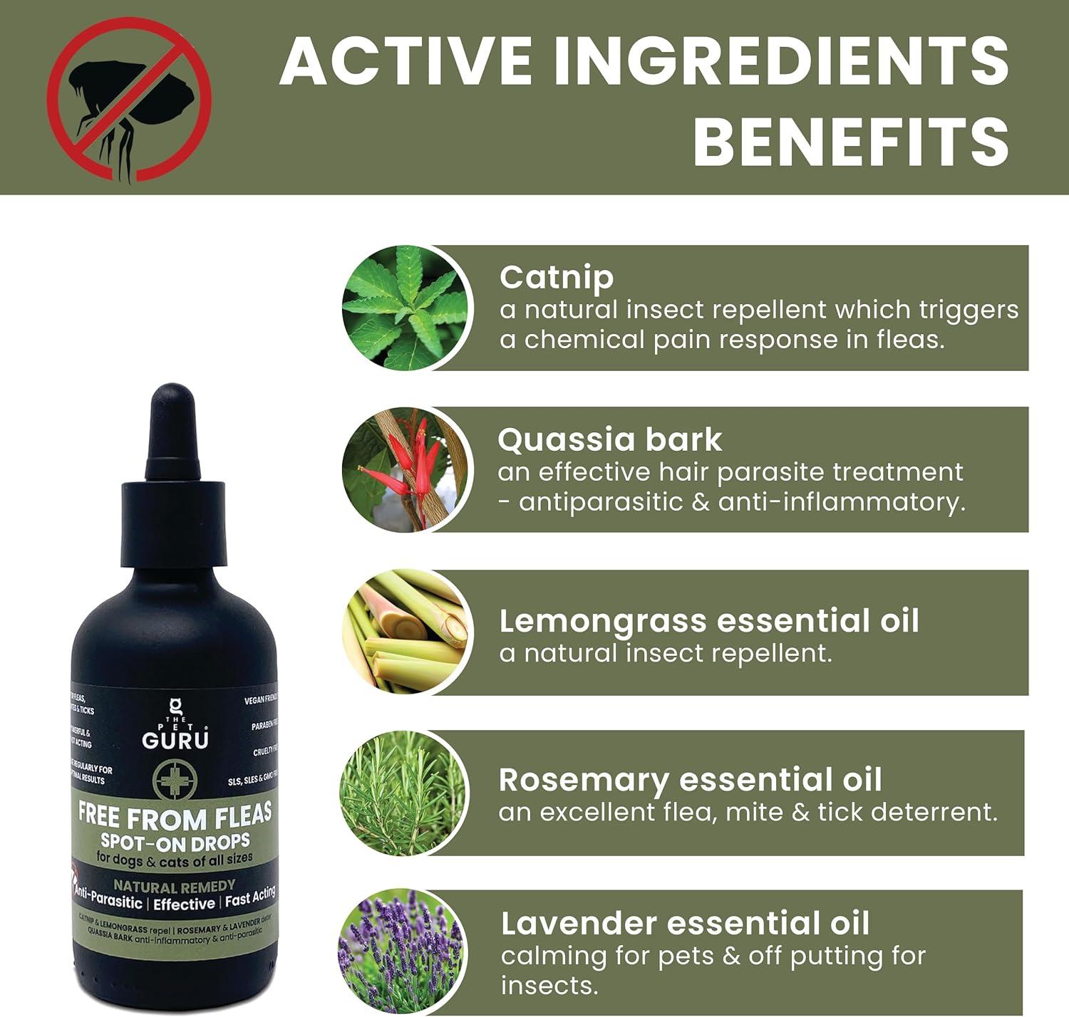 Pet Guru Non-Toxic Natural Flea Treatment - Fast Acting Spot-On Drops ...