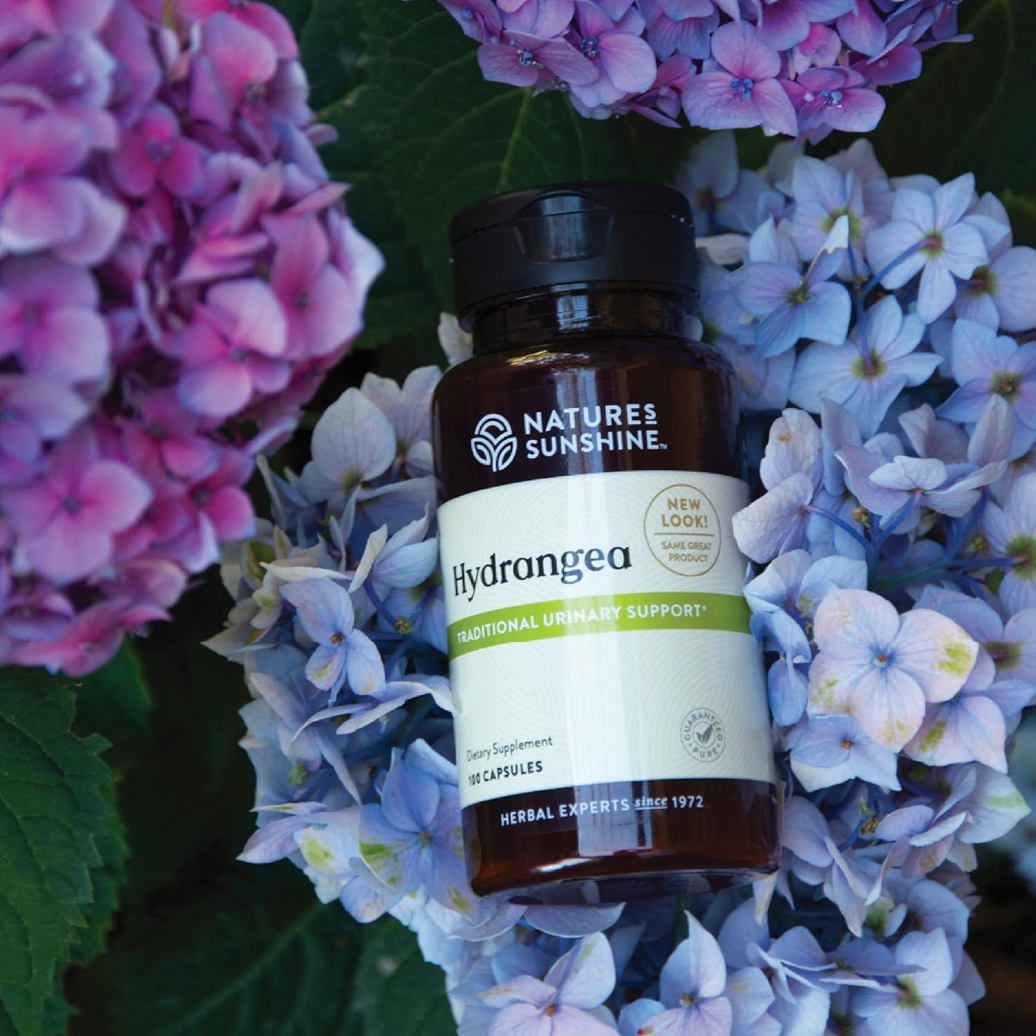 Nature's Sunshine Hydrangea Capsules - 100 Ct 650mg Pure Hydrangea Root ...