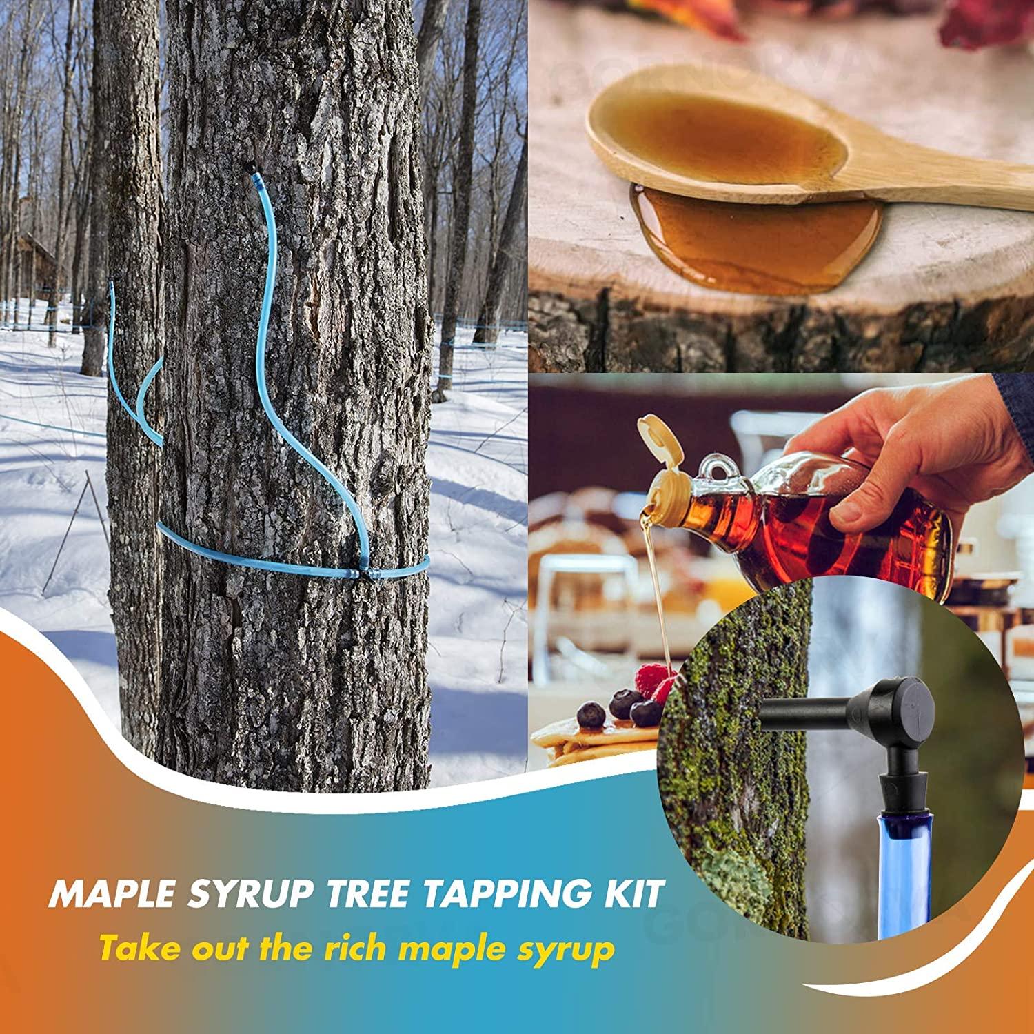 GORNORVA 24 PCS Maple Syrup Taps - Plastic Maple Sugaring Spiles for ...