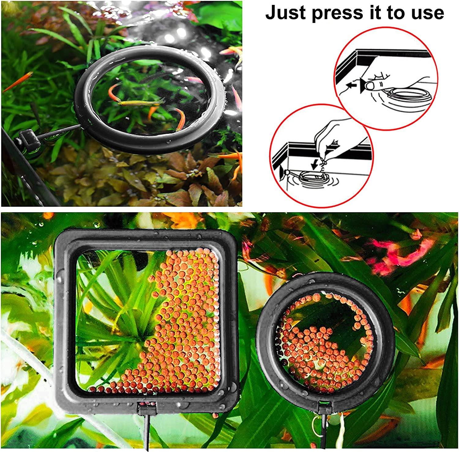 Molain Fish Feeding Ring - 2 Pieces Aquarium Food Feeder Circle for ...