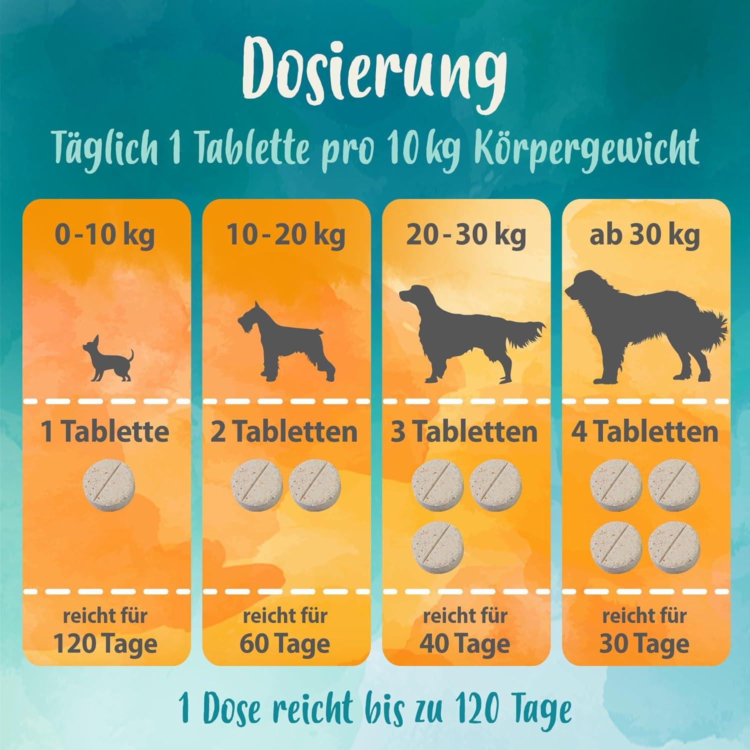 Ida Plus Darmbiotic Probiotics for Dogs - 120 Tablets for Intestinal ...