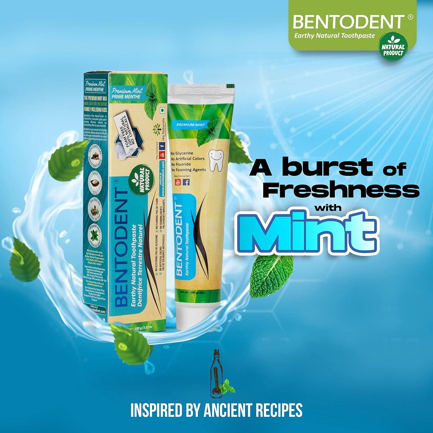 Bentodent Natural Toothpaste for Entire Family - Daily Oral Detox ...