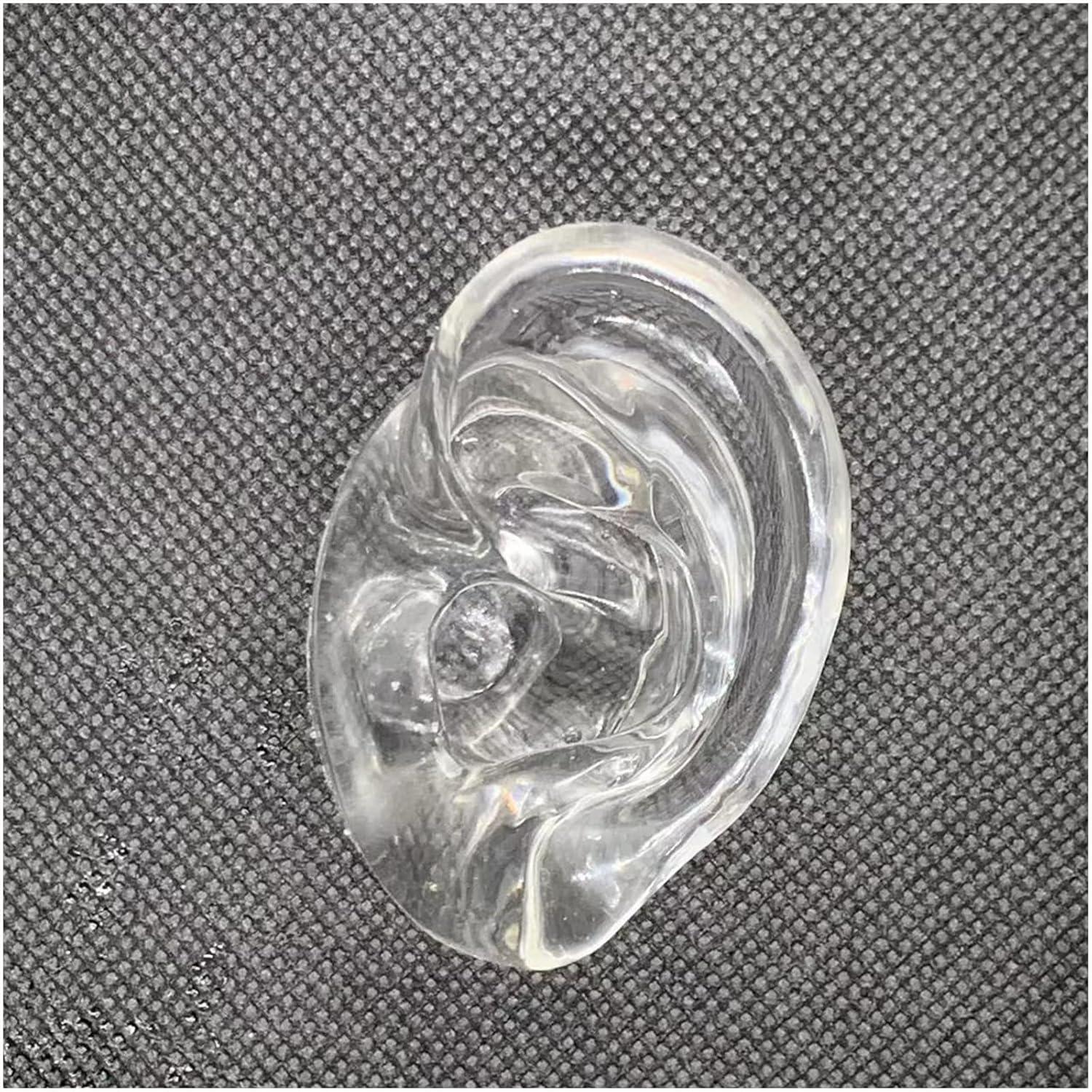 Soft Silicone Ear Model for Acupuncture & Science Study - Anatomical ...