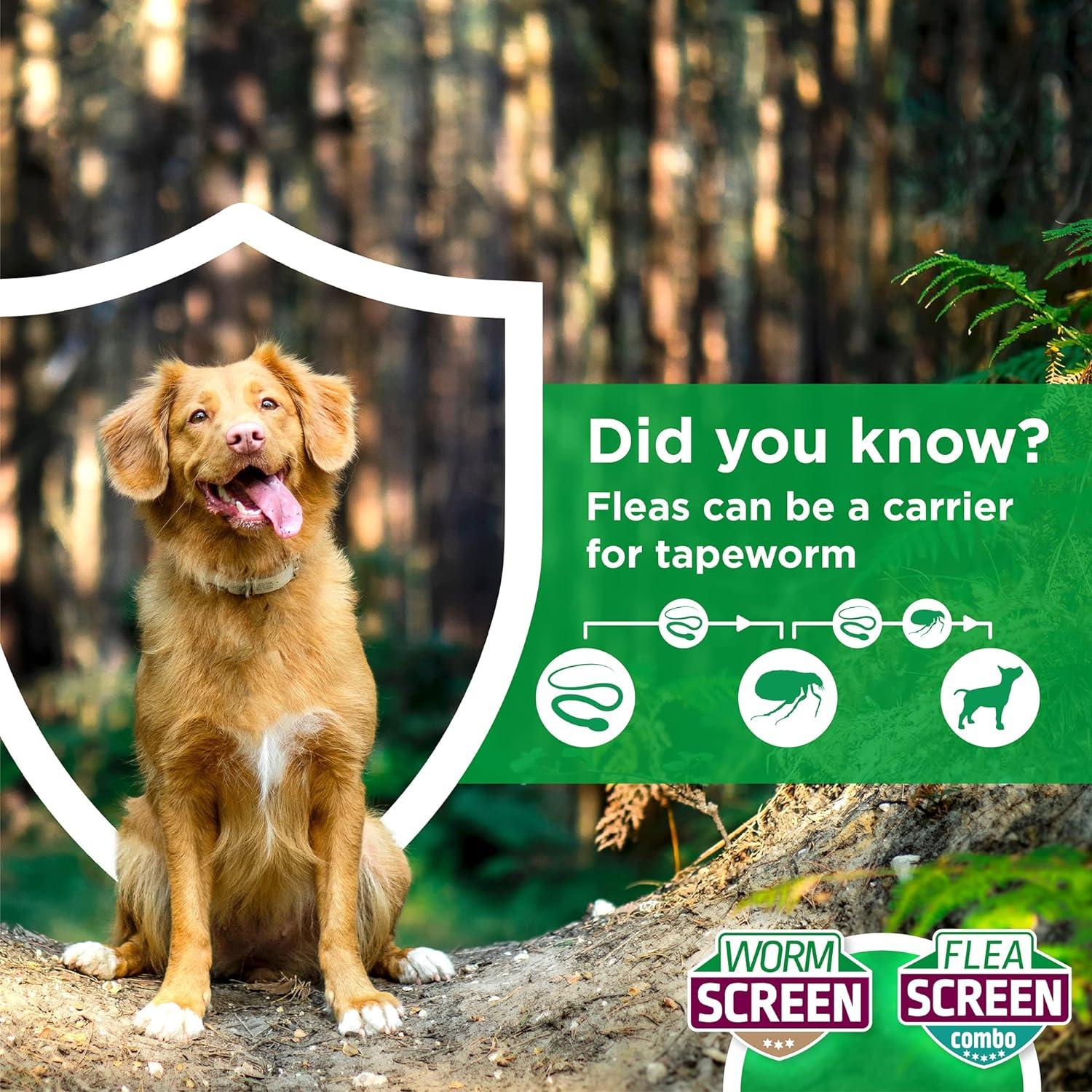 WORM SCREEN Dog (4 tablets) - Veterinary Licensed Worming Tablets for ...