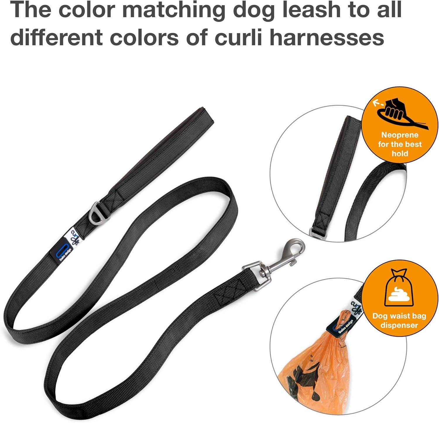 Shop Basic Black Leash - Durable Stylish & Perfect for Every Dog ...