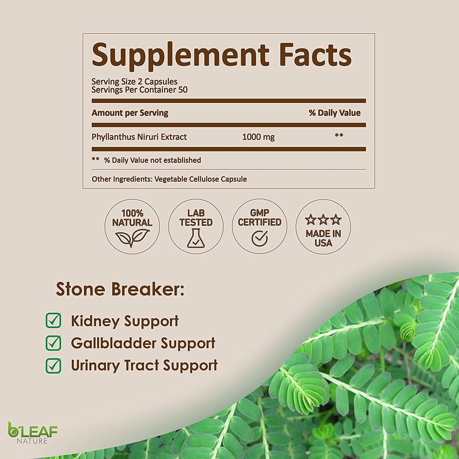 Stone Breaker Chanca Piedra Extract 1000mg - Urinary Tract ...