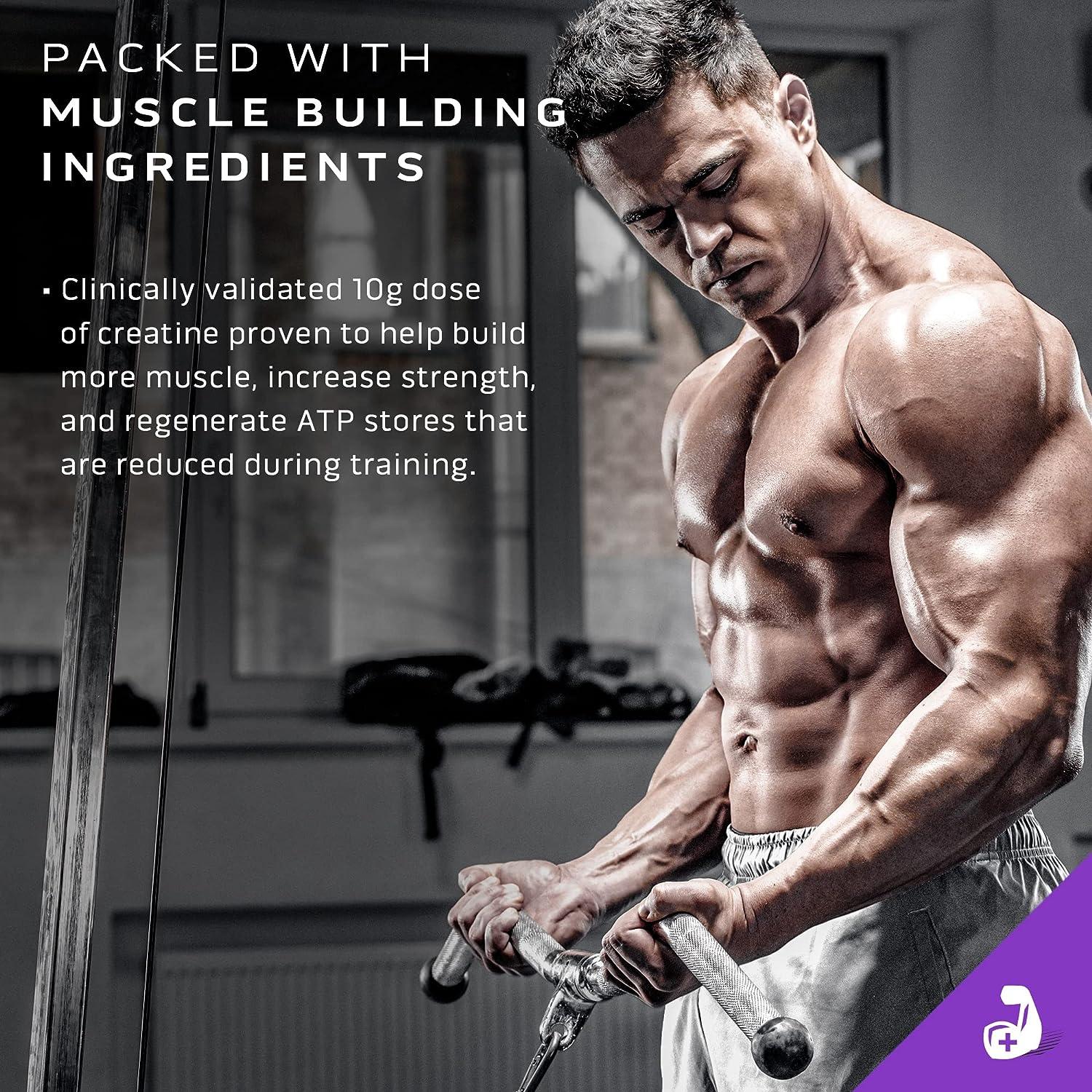 MuscleTech Mass-Tech Extreme 2000 Vanilla Milkshake 6lbs | Protein + Creatine + Carbs Weight ...