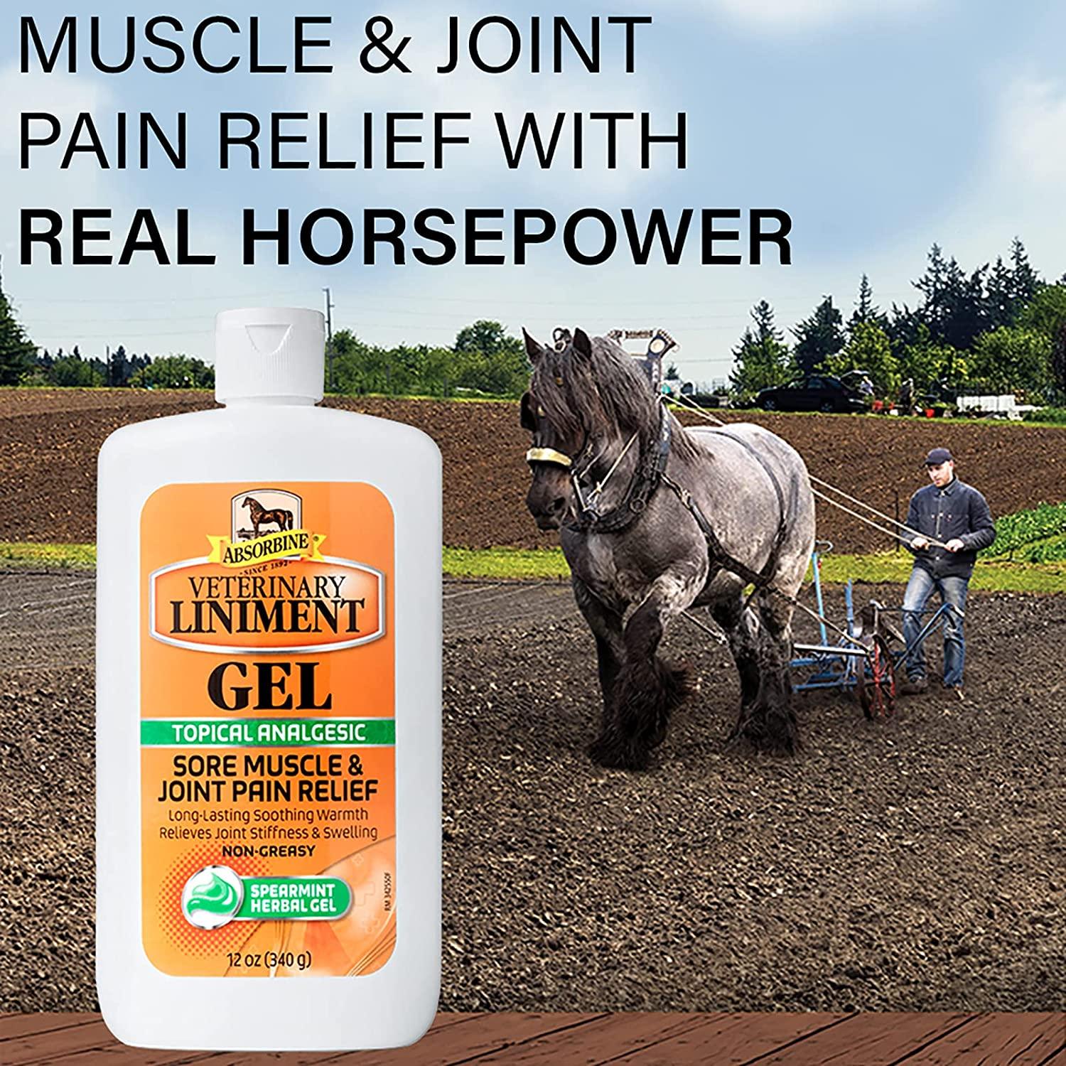 Absorbine Veterinary Liniment Gel, Topical Menthol Analgesic Rub for ...
