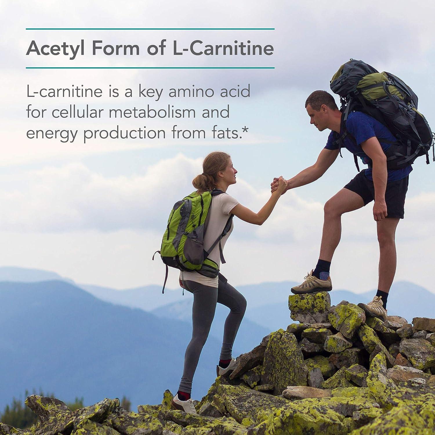 Nutricology Acetyl L-Carnitine 500mg - Energy and Metabolism Support ...