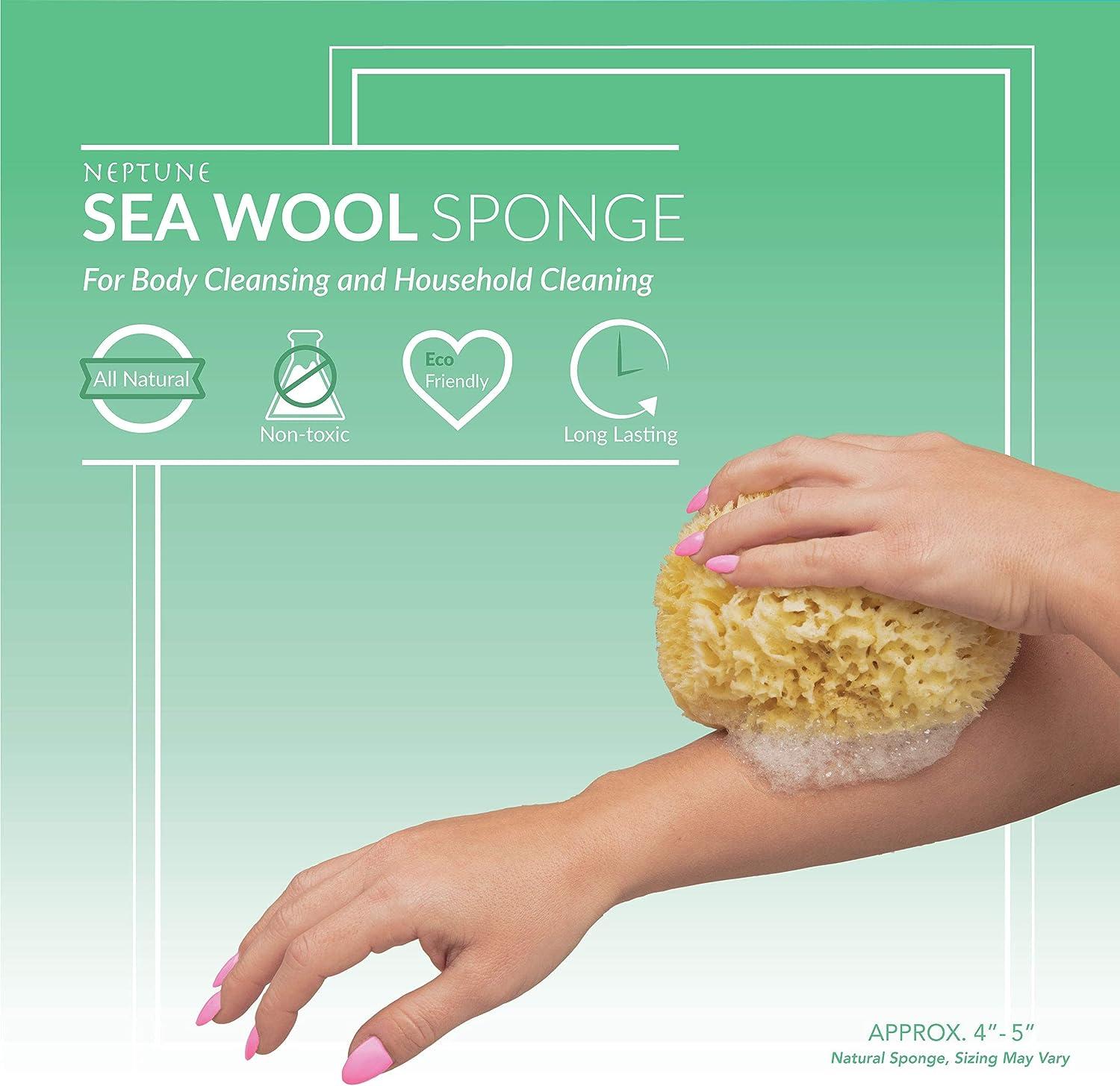 Neptune Natural Sea Wool Sponge - Large 5 Inch Honeycomb Sea Sponge ...