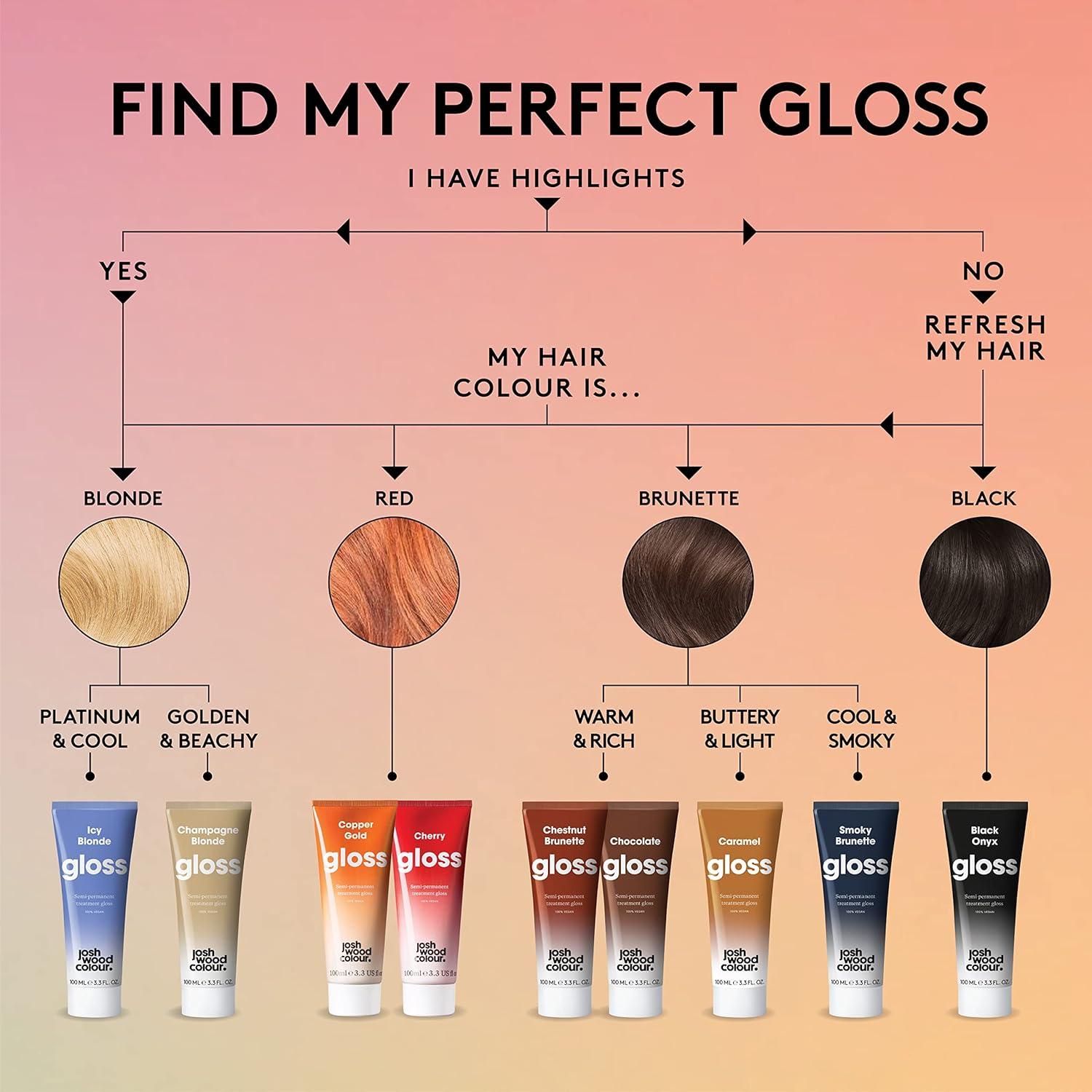 Josh Wood Hair Gloss in Black Onyx - Semi-Permanent Shine for Dark ...