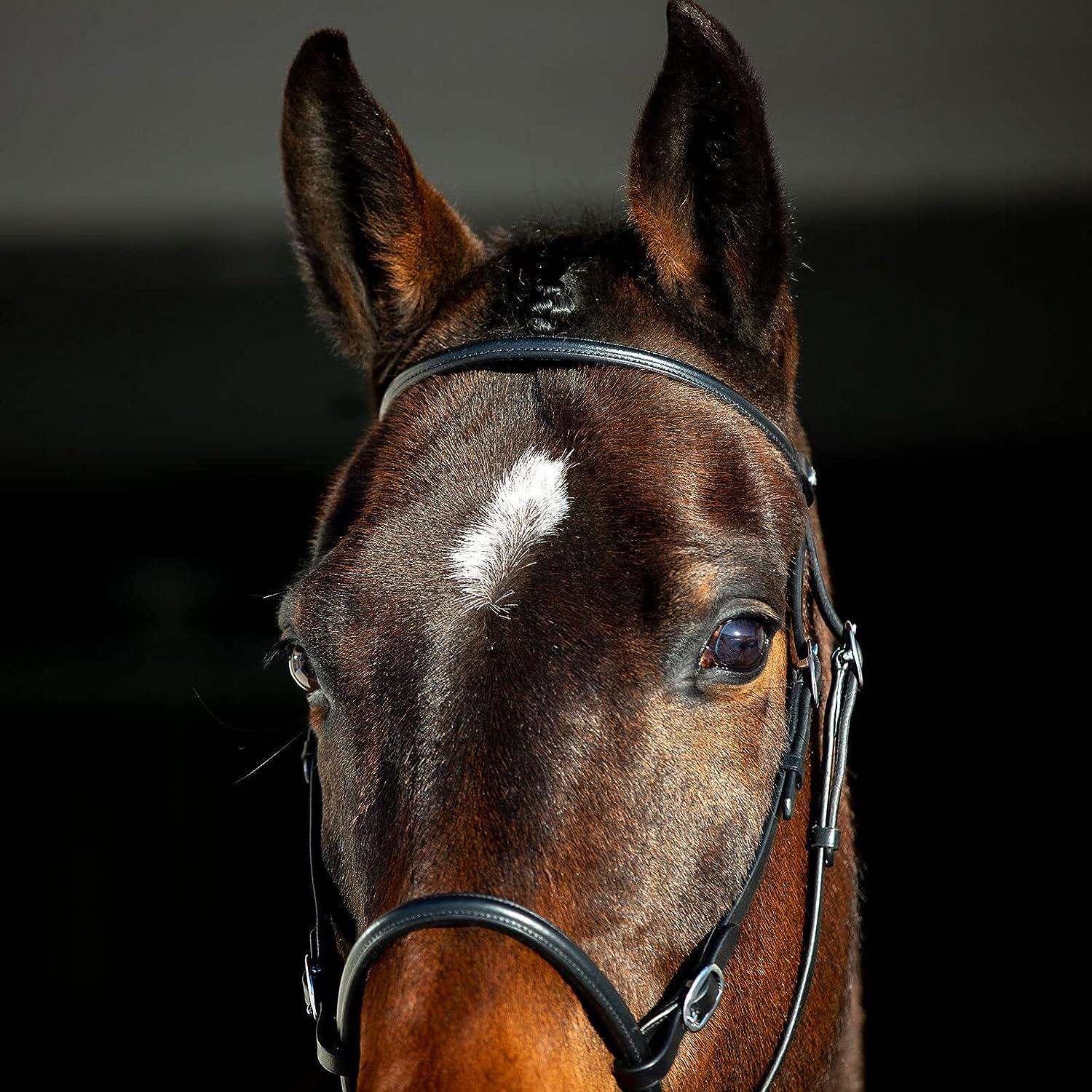 HORZE Genuine Leather Cross-Under Bitless Bridle with Web Reins - Black ...