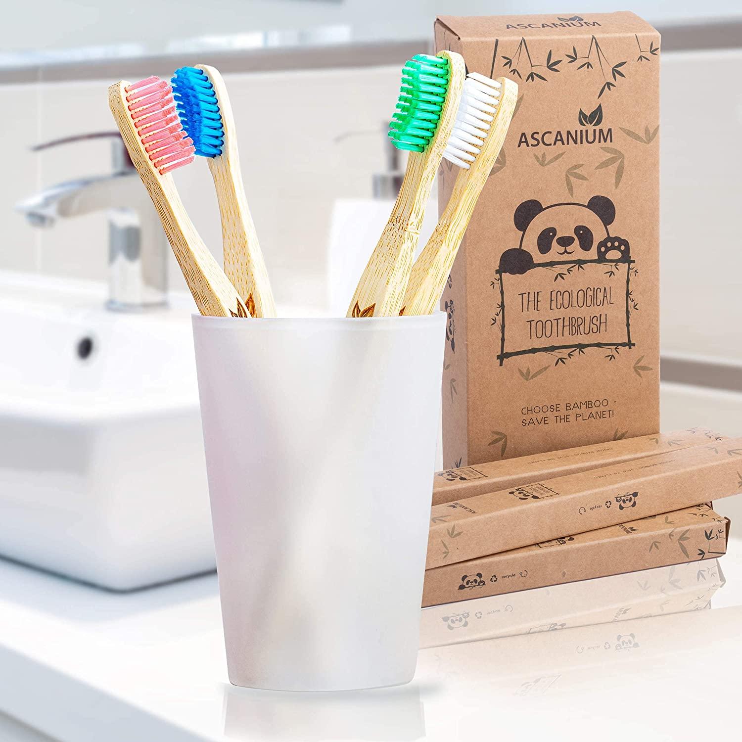 Bamboo Charcoal Biodegradable Toothbrush Eco-Friendly, Natural, Vegan ...