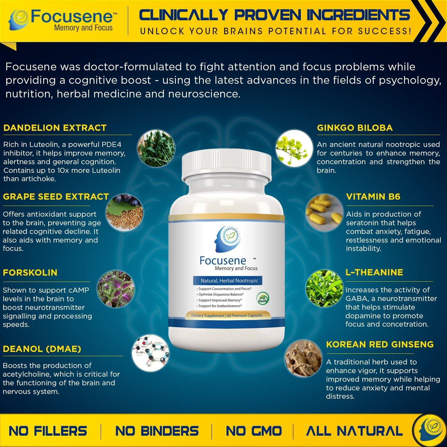 Foocusene: Caffeine-Free Mental Focus Supplement for Brain Enhancement ...
